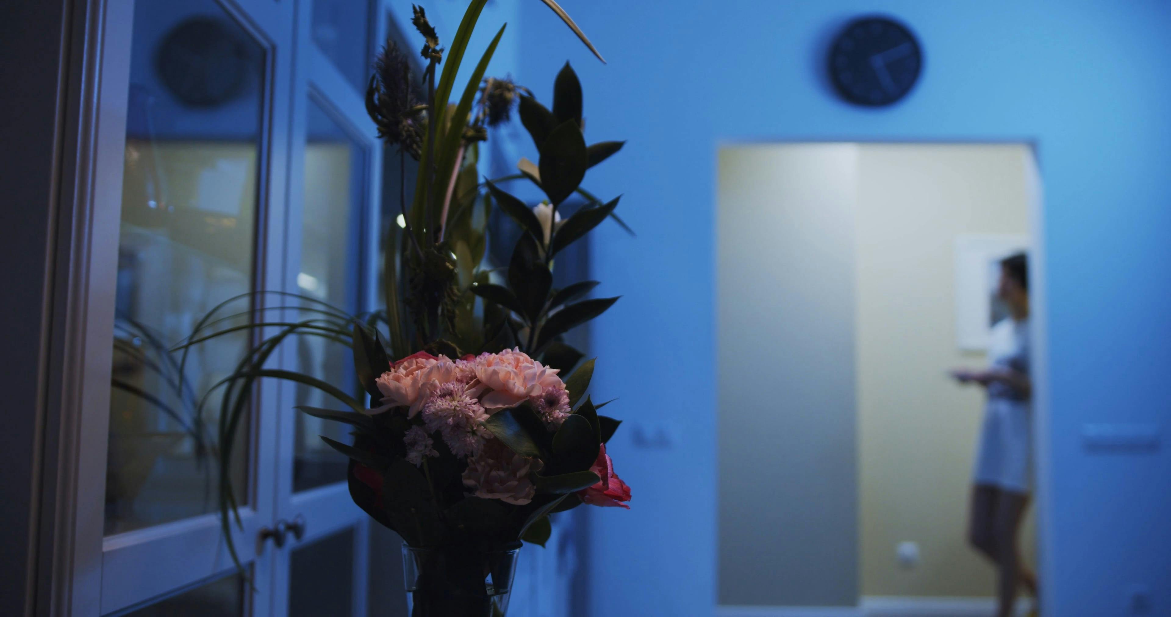 A Woman Dropped a Plate on the Floor Free Stock Video Footage, Royalty ...