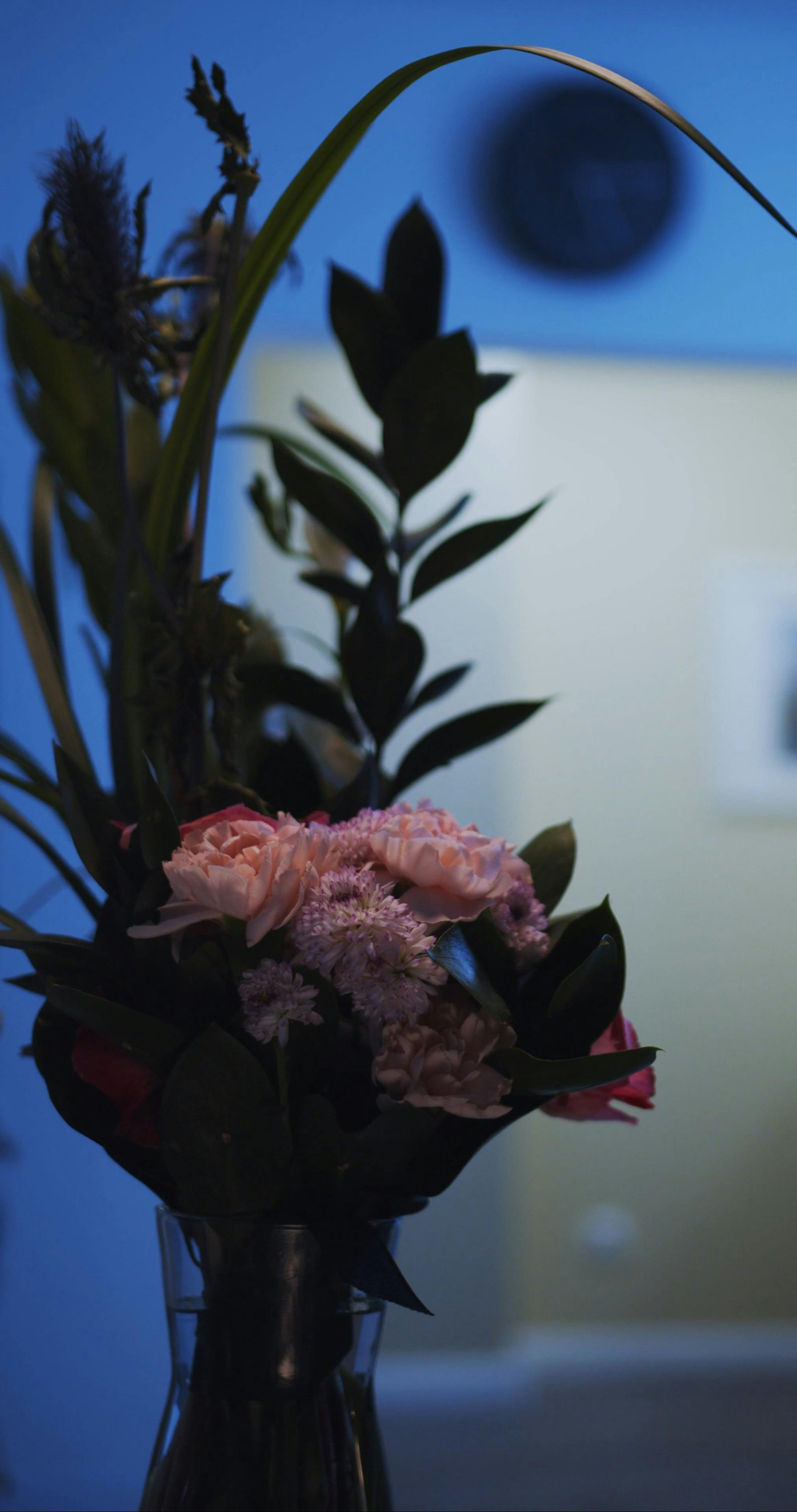 Woman Dropping a Plate on the Floor · Free Stock Video