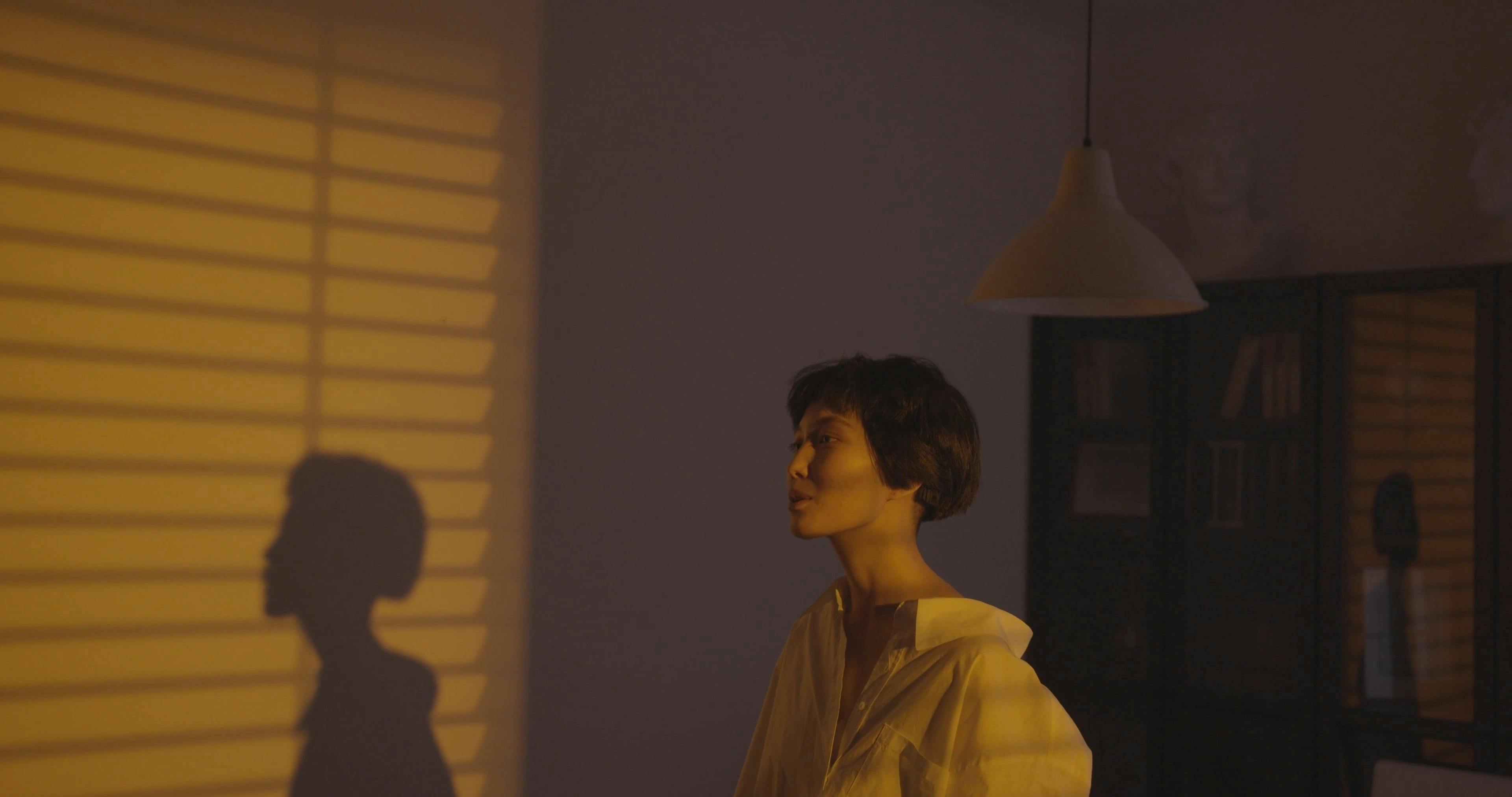 Couple Kissing at Home Free Stock Video Footage, Royalty-Free 4K & HD ...