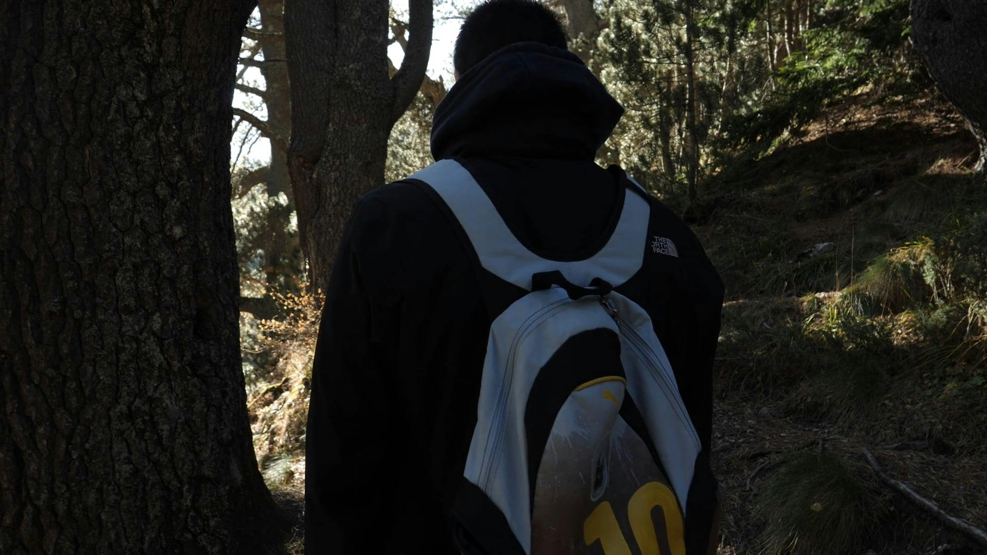 Forest Explorer Videos, Download The BEST Free 4k Stock Video Footage ...