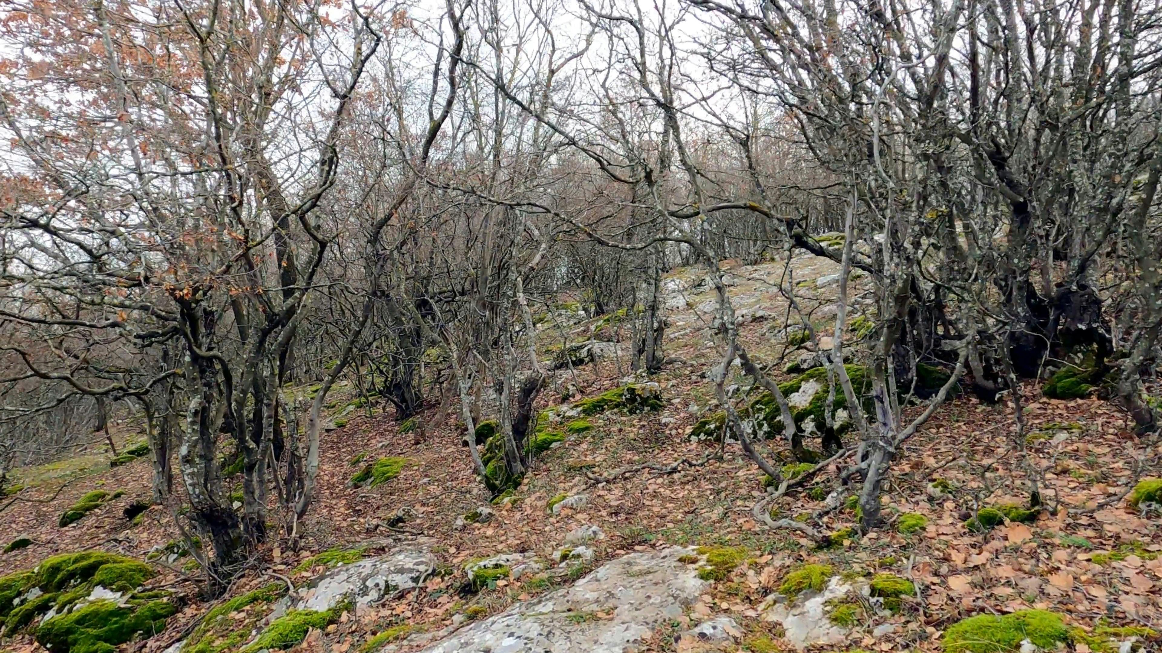 The Kargyak river with the granite mountain peak of Mount Gumbok ...