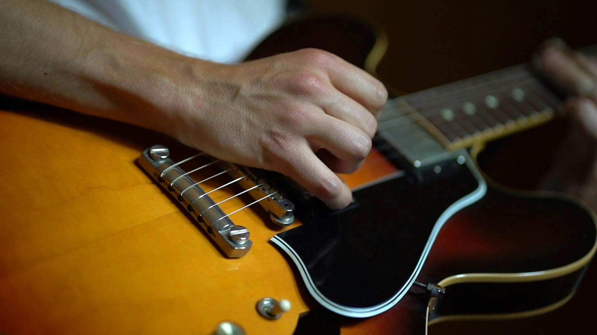 Pluck Background Videos, Download The BEST Free 4k Stock Video Footage ...