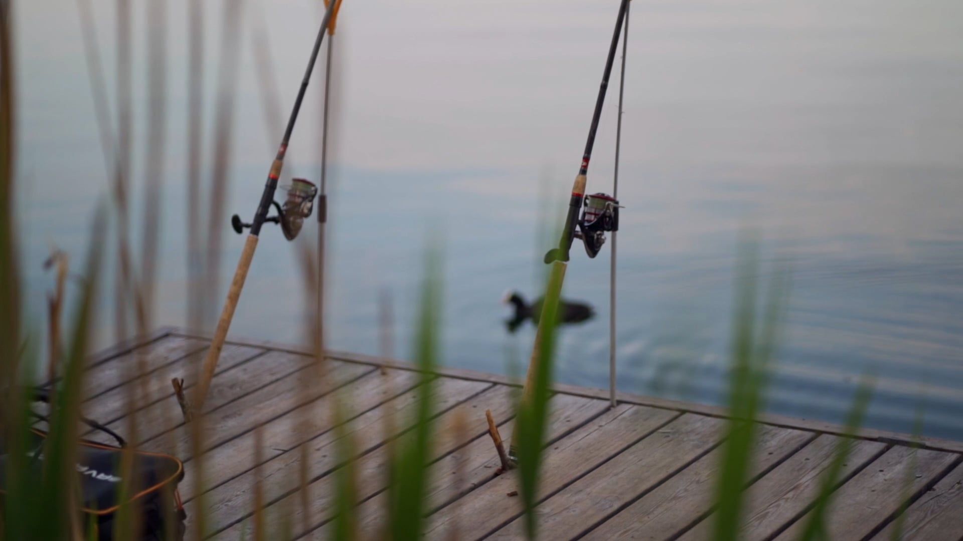 Afternoon Fishing Videos, Download The BEST Free 4k Stock Video Footage ...