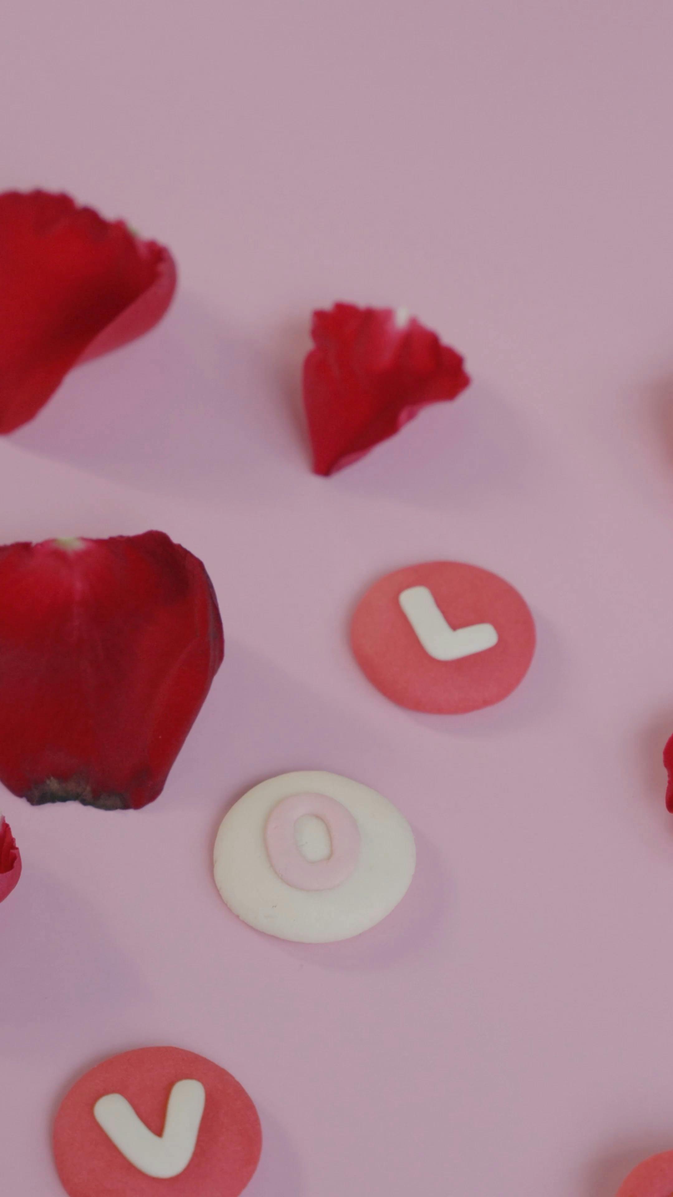 Scattered Roses Petals Free Stock Video Footage, Royalty-Free 4K & HD ...