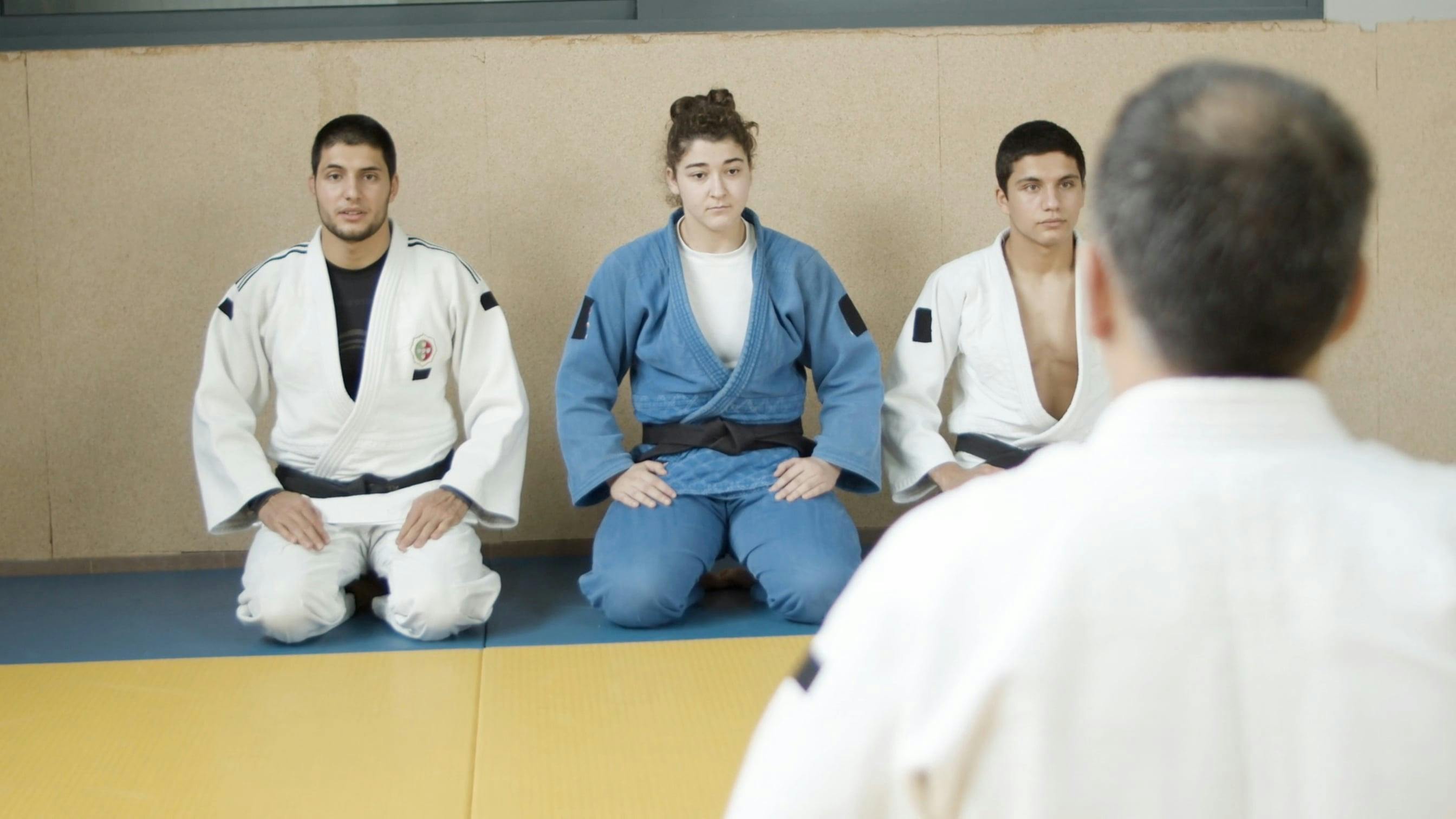 Judo Fighters Taking a Bow Free Stock Video Footage, Royalty-Free 4K ...