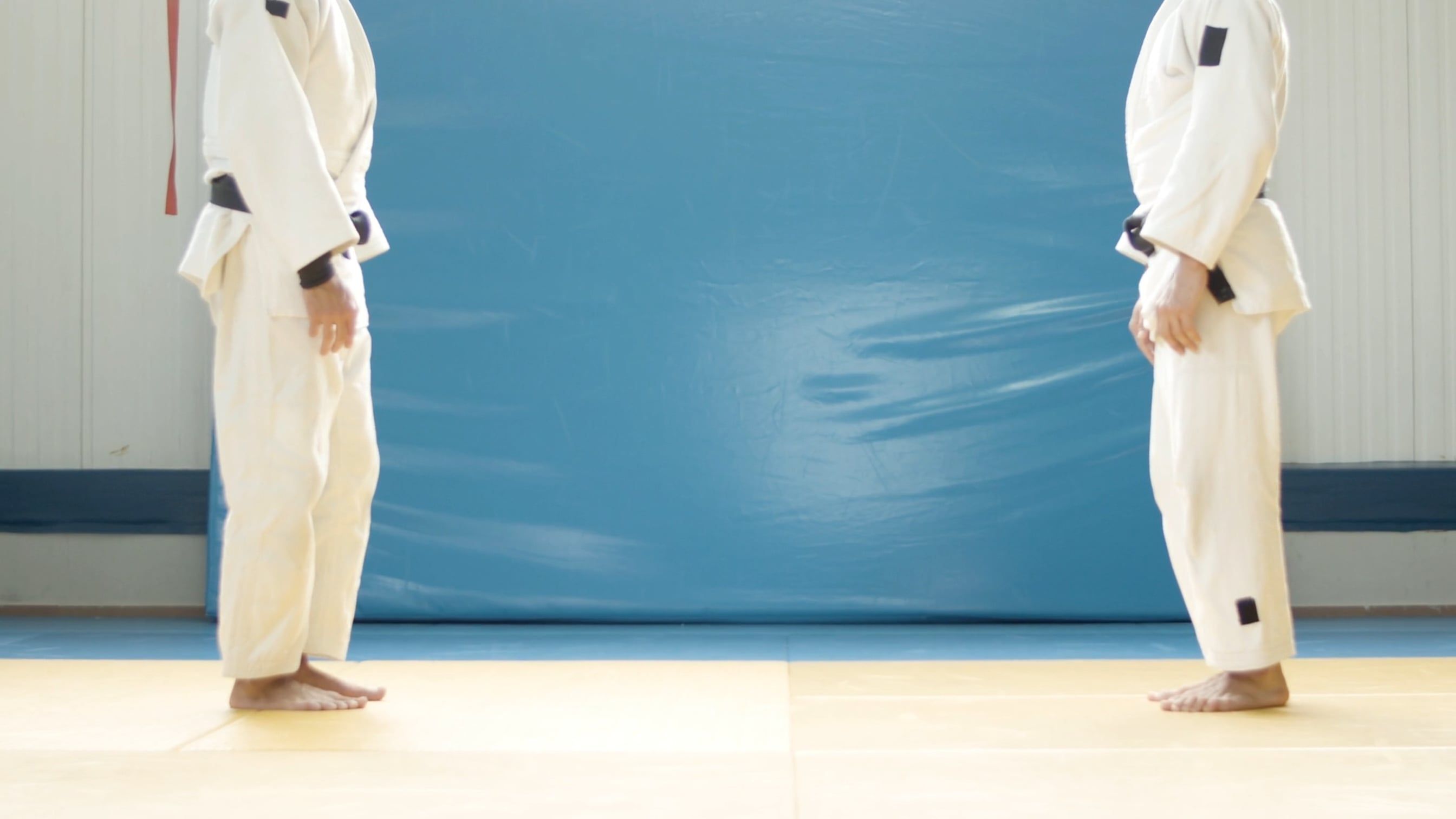 Men Practicing Judo Free Stock Video Footage, Royalty-Free 4K & HD ...
