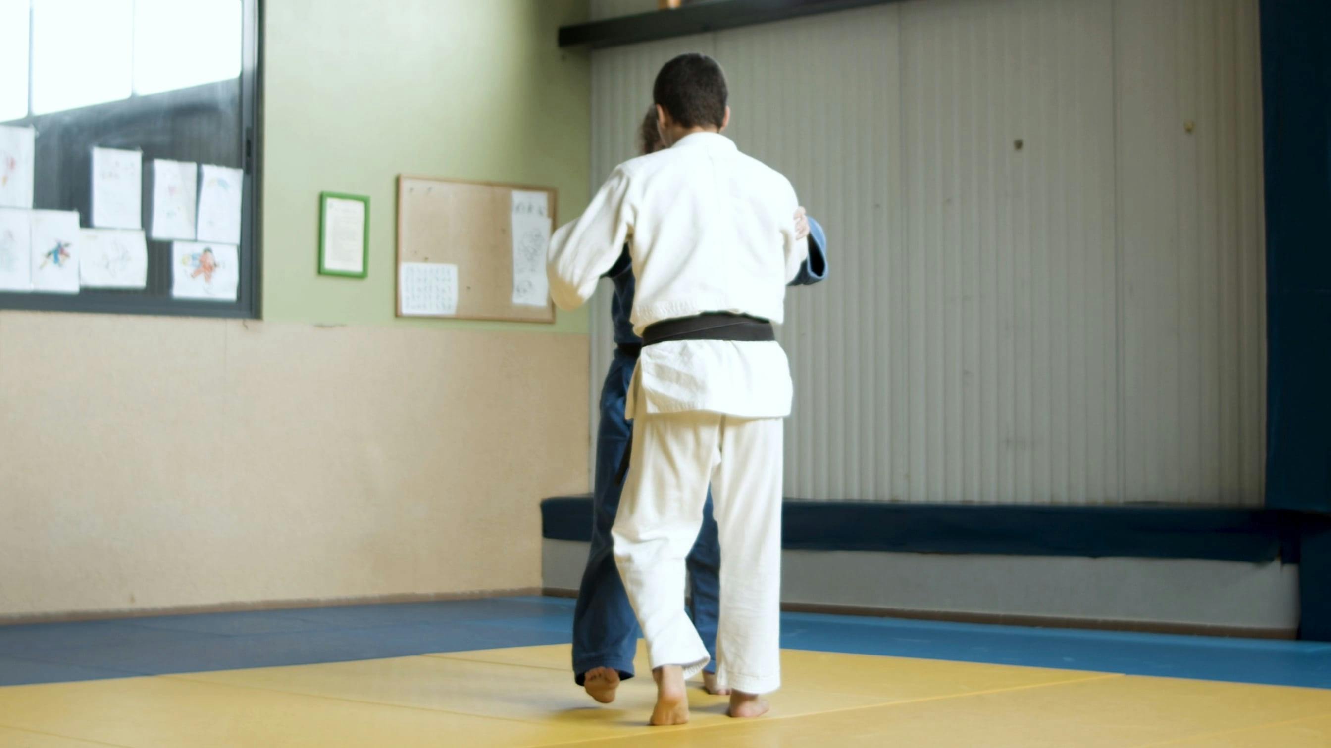 Mat Croc Kong Kick Videos, Download The BEST Free 4k Stock Video ...