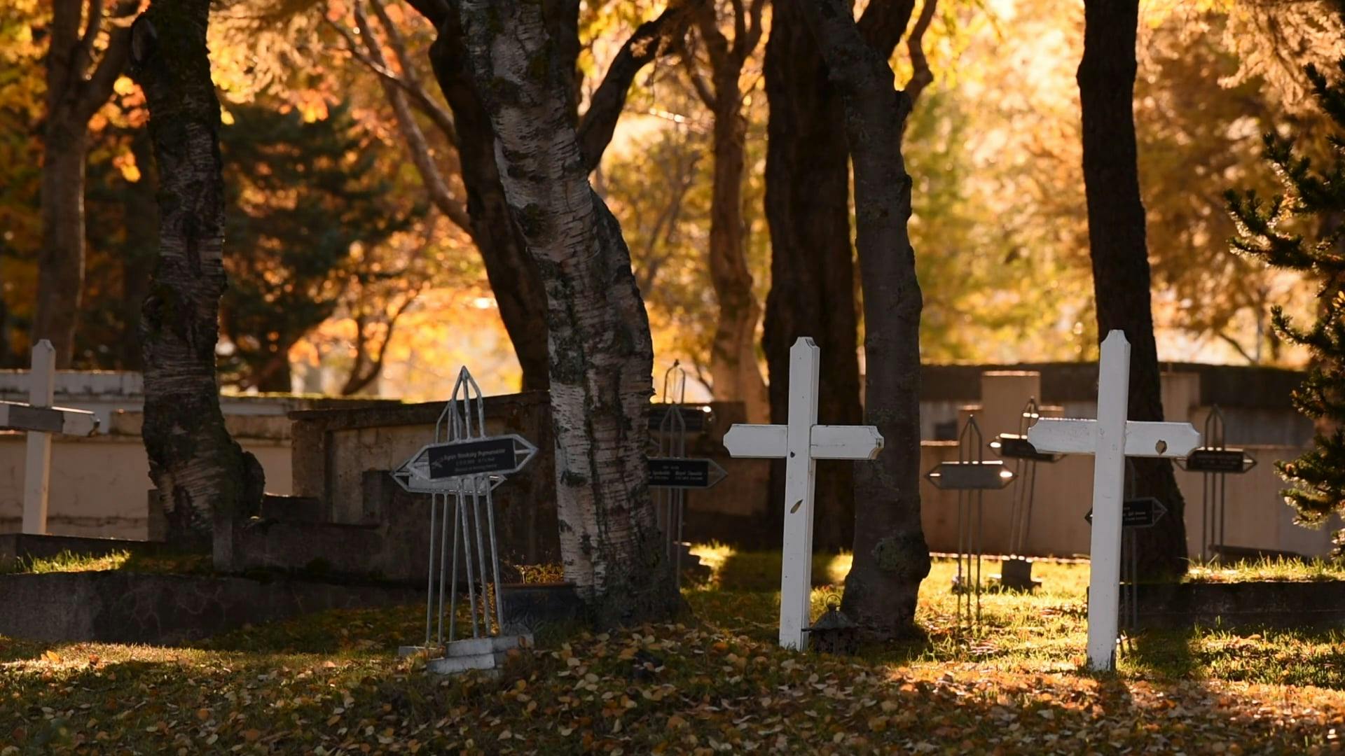 Time-Lapse Video of a Cemetery During Daytime Free Stock Video Footage ...