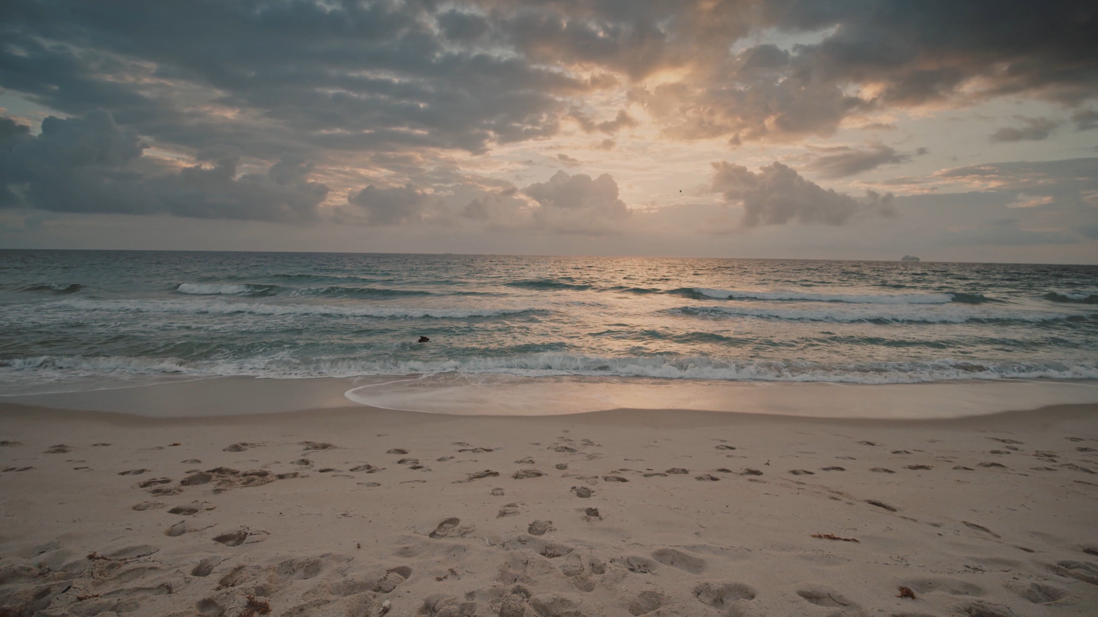 Wide Angle Shot of a Sea Shore Free Stock Video Footage, Royalty-Free ...