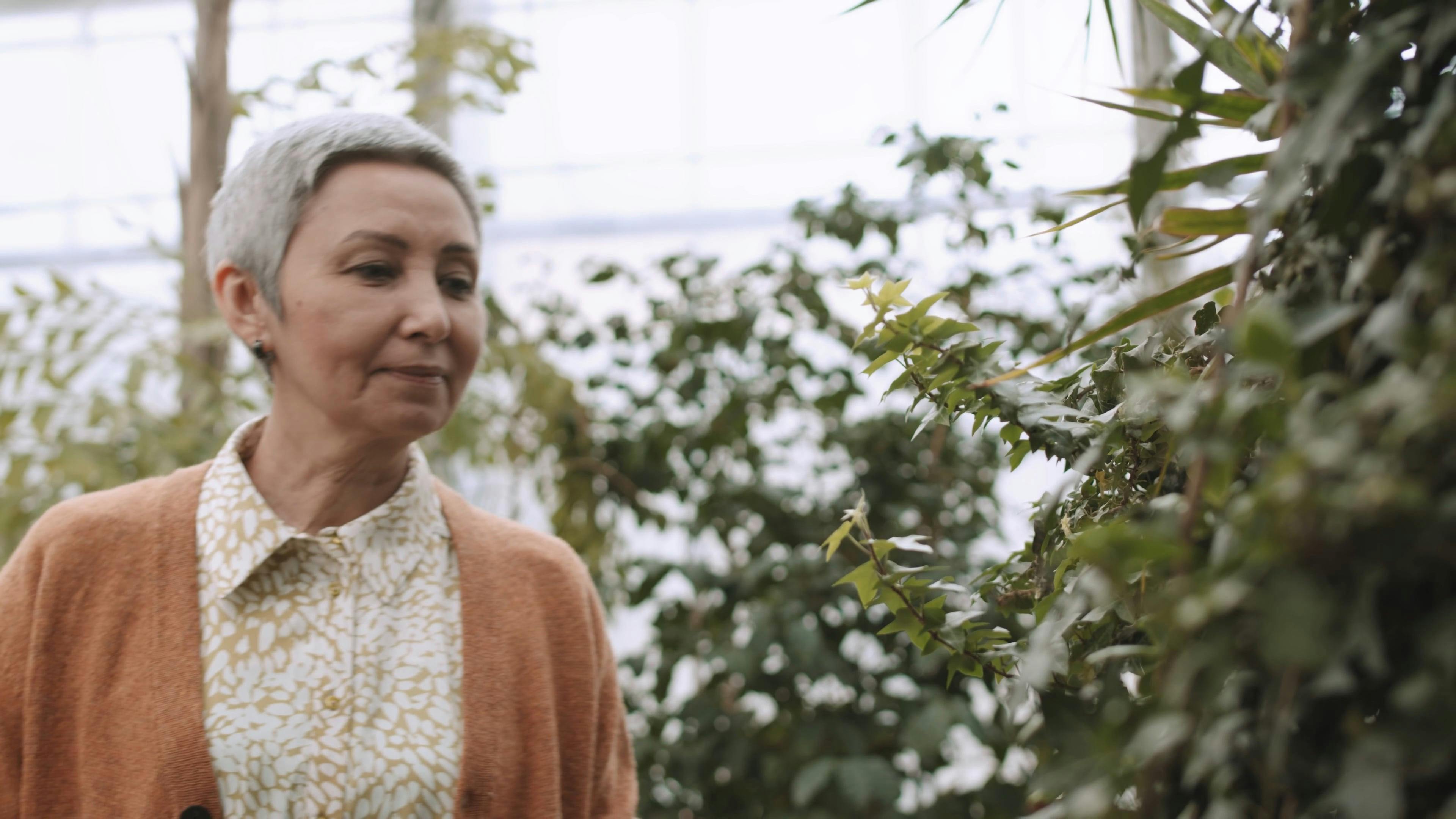 Older Woman Beautiful Videos, Download The BEST Free 4k Stock Video ...