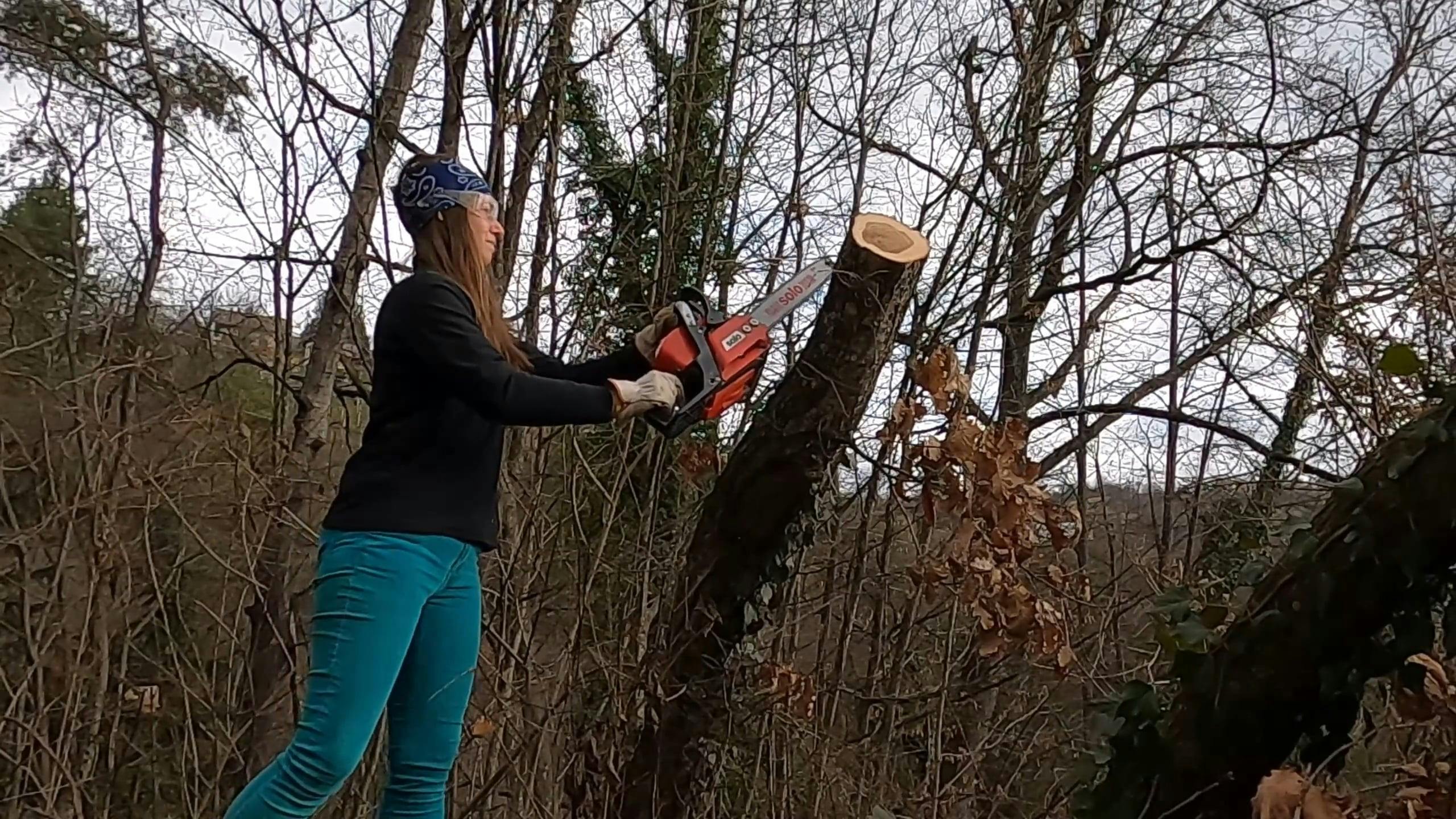 Cutting Tree Trunk For Fire Woods Free Stock Video Footage, Royalty ...
