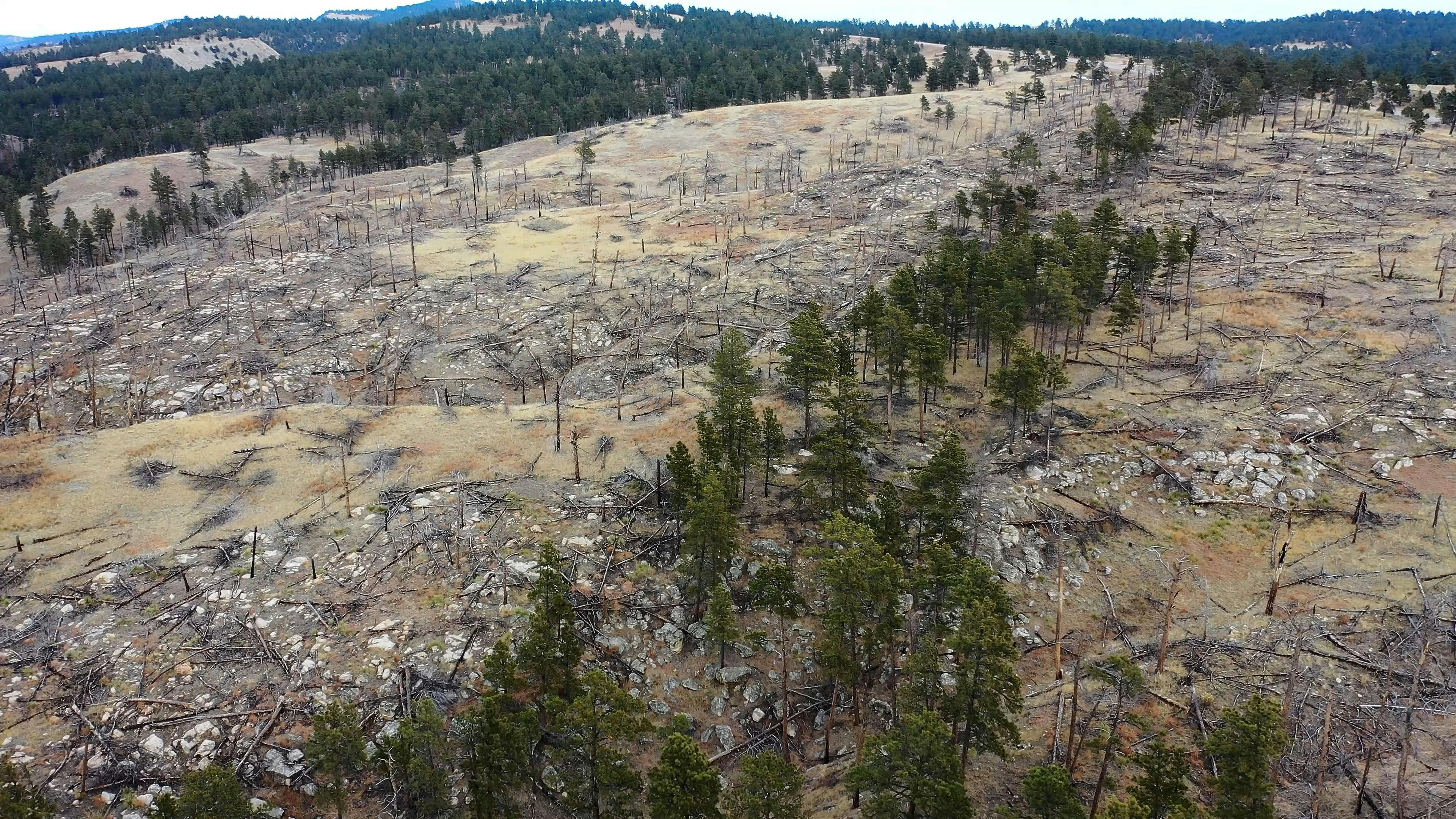 Road Tracking Footage Videos, Download The BEST Free 4k Stock Video ...