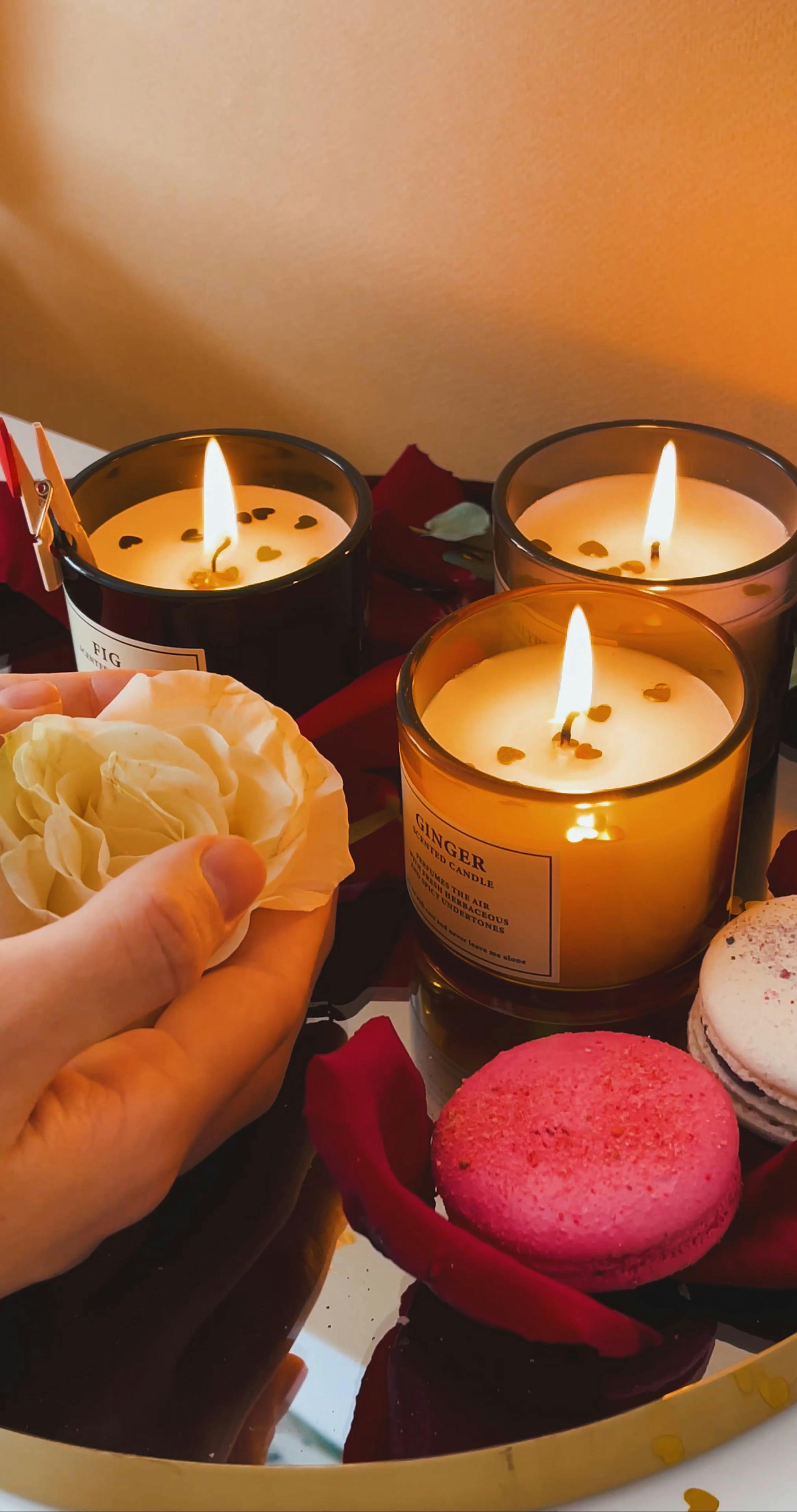 Rose Down Videos, Download The BEST Free 4k Stock Video Footage & Rose ...