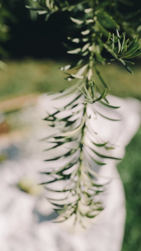 Aesthetic Videos, Download The BEST Free 4k Stock Video Footage ...