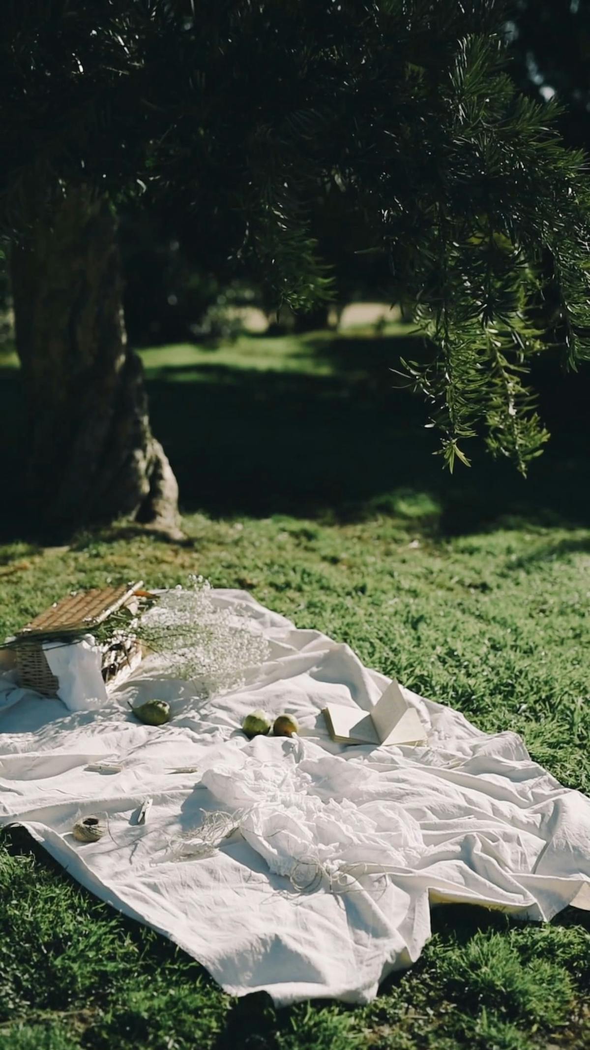 Picnic Videos, Download The BEST Free 4k Stock Video Footage & Picnic ...