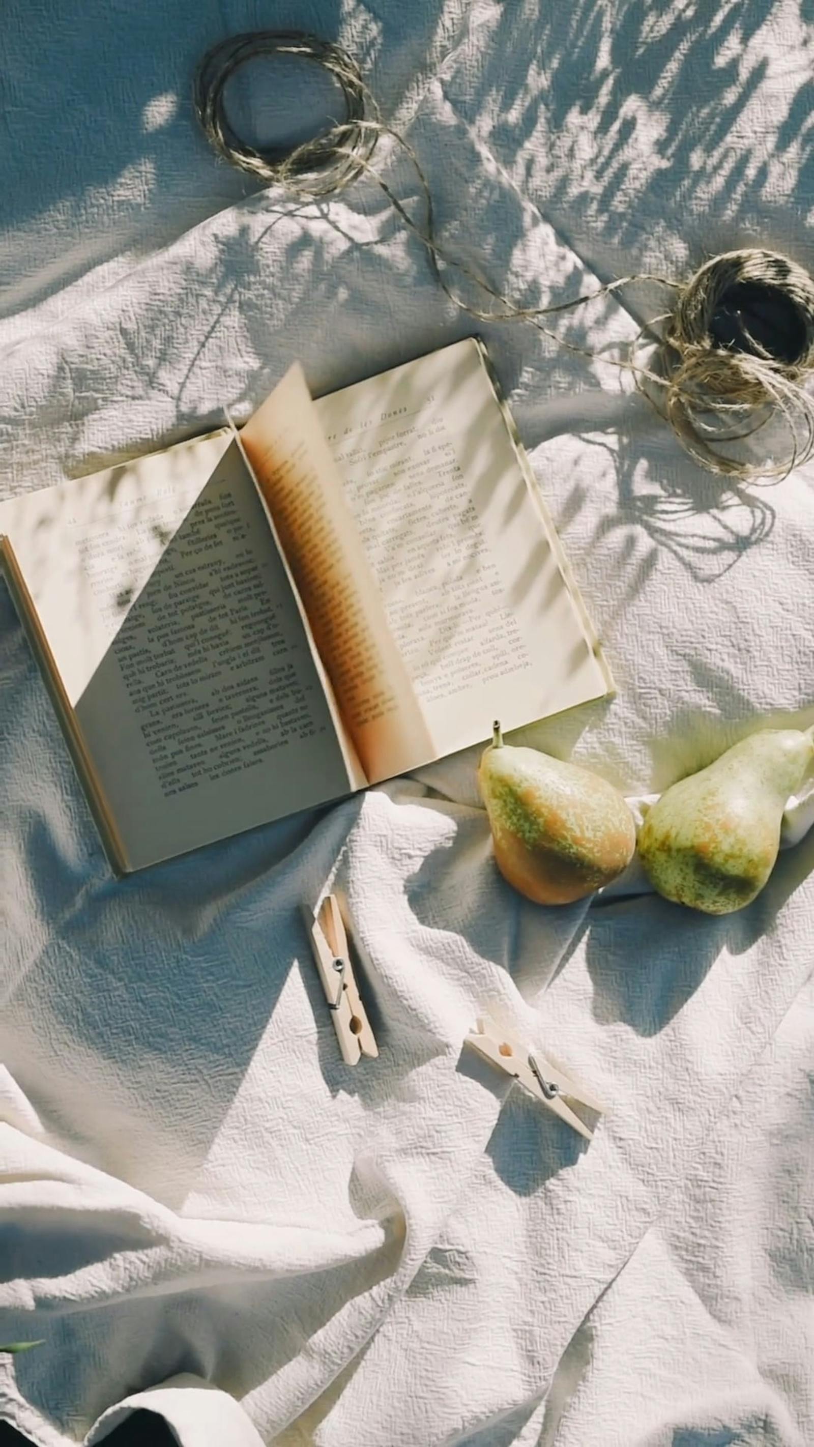 Computer Backgrounds Aesthetic Videos, Download The BEST Free 4k Stock ...