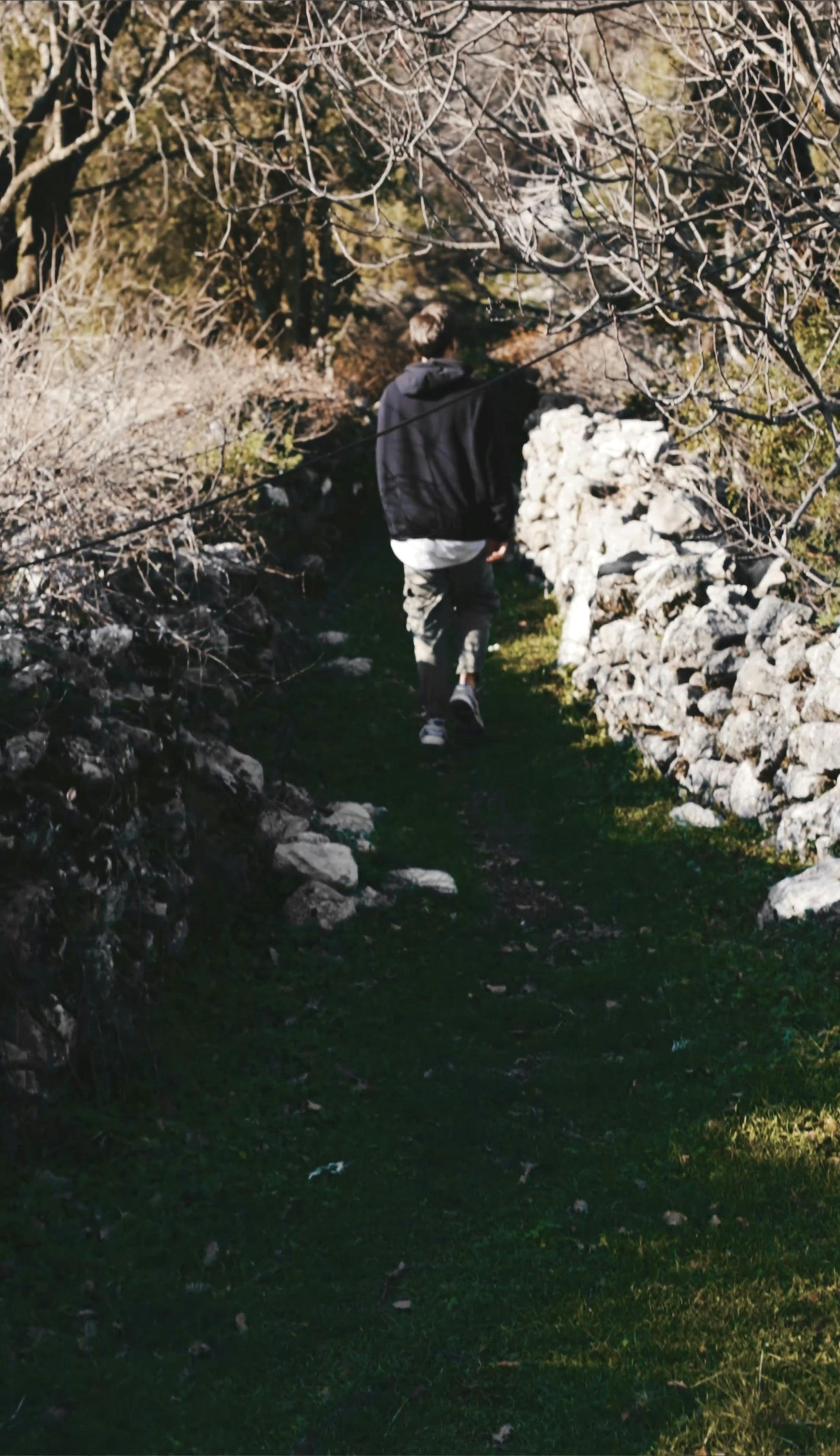 Tress Minimal Videos, Download The BEST Free 4k Stock Video Footage ...