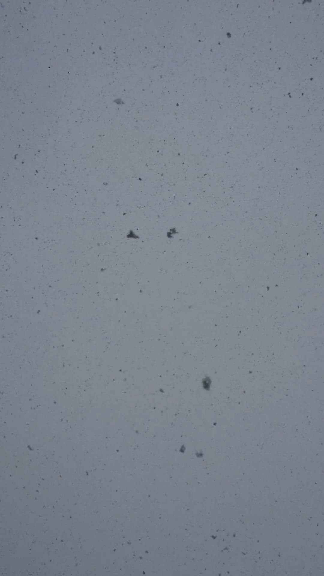 Low Angle Shot of Snowfall Free Stock Video Footage, Royalty-Free 4K ...