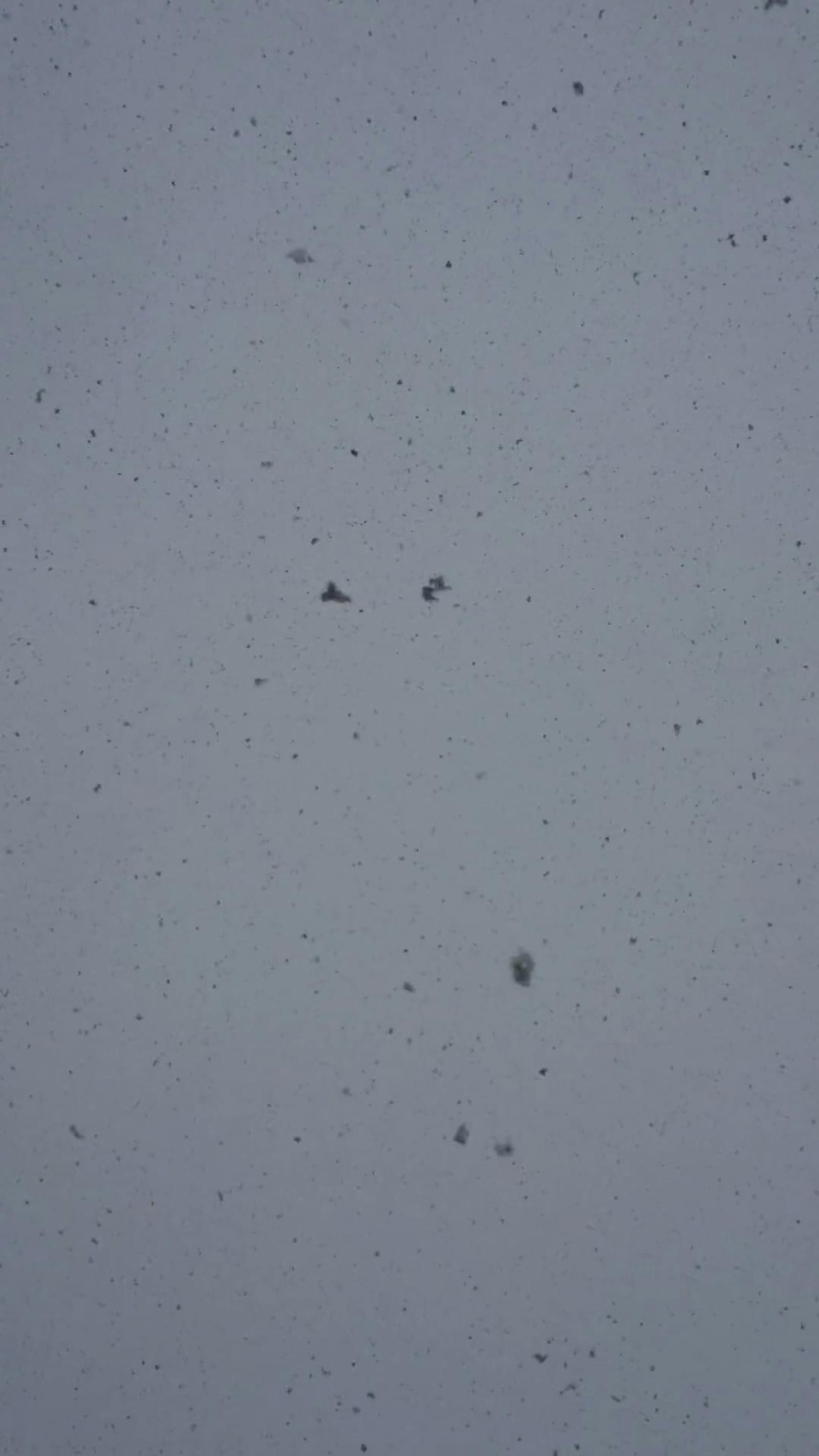 Snow Falling Videos, Download The BEST Free 4k Stock Video Footage ...