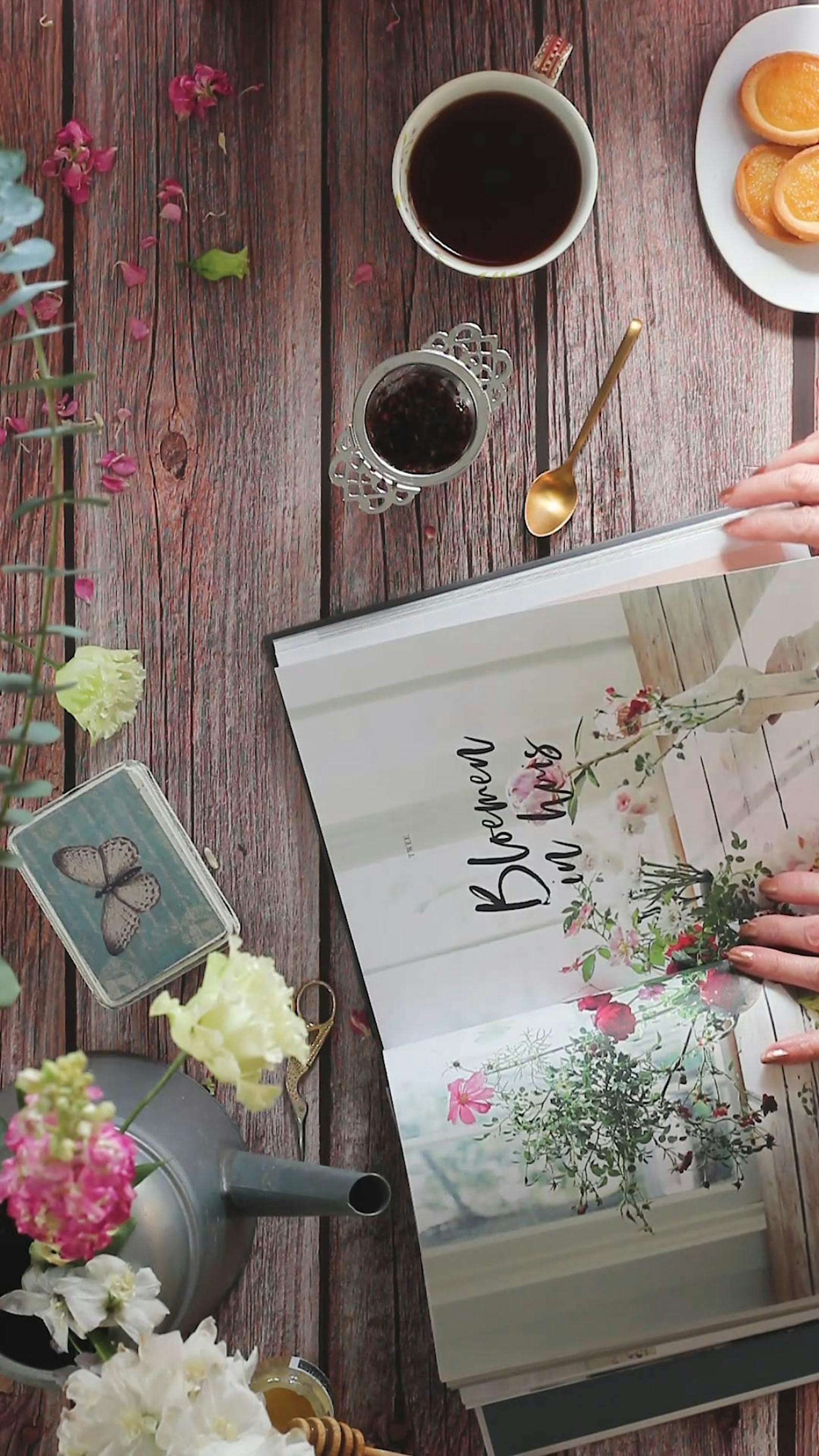 Spring Break Videos, Download The BEST Free 4k Stock Video Footage ...