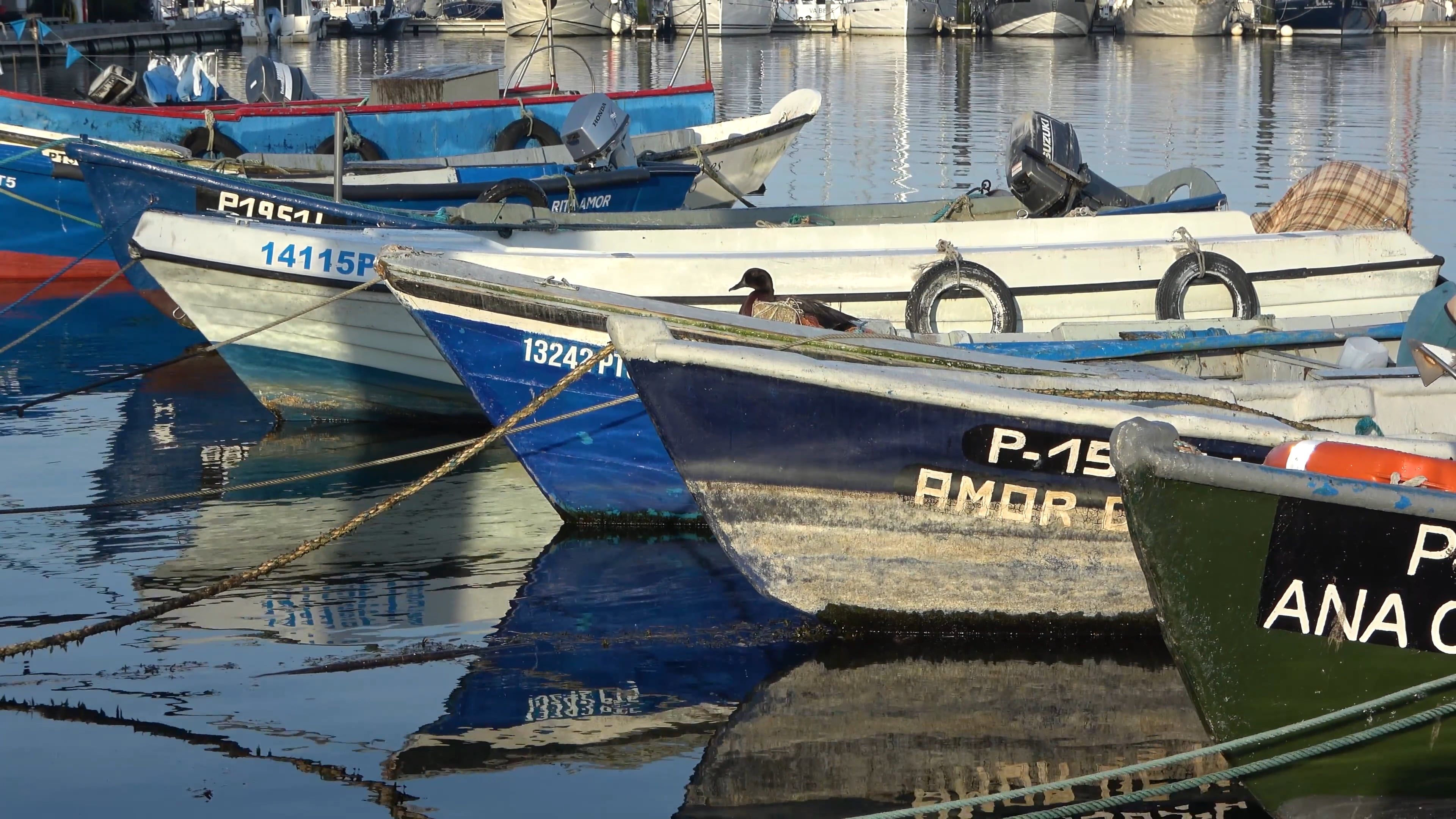 Boats Videos, Download The BEST Free 4k Stock Video Footage & Boats HD ...