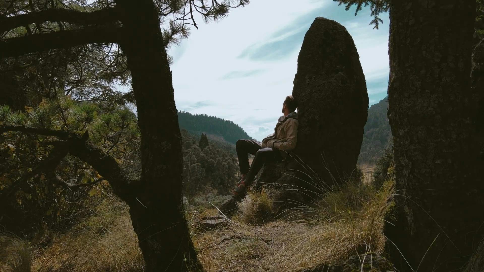 Man Pines Videos, Download The BEST Free 4k Stock Video Footage & Man ...