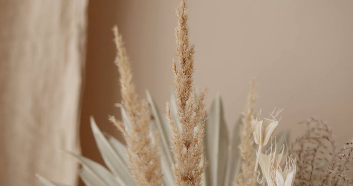 Beige Background Videos, Download The BEST Free 4k Stock Video Footage ...