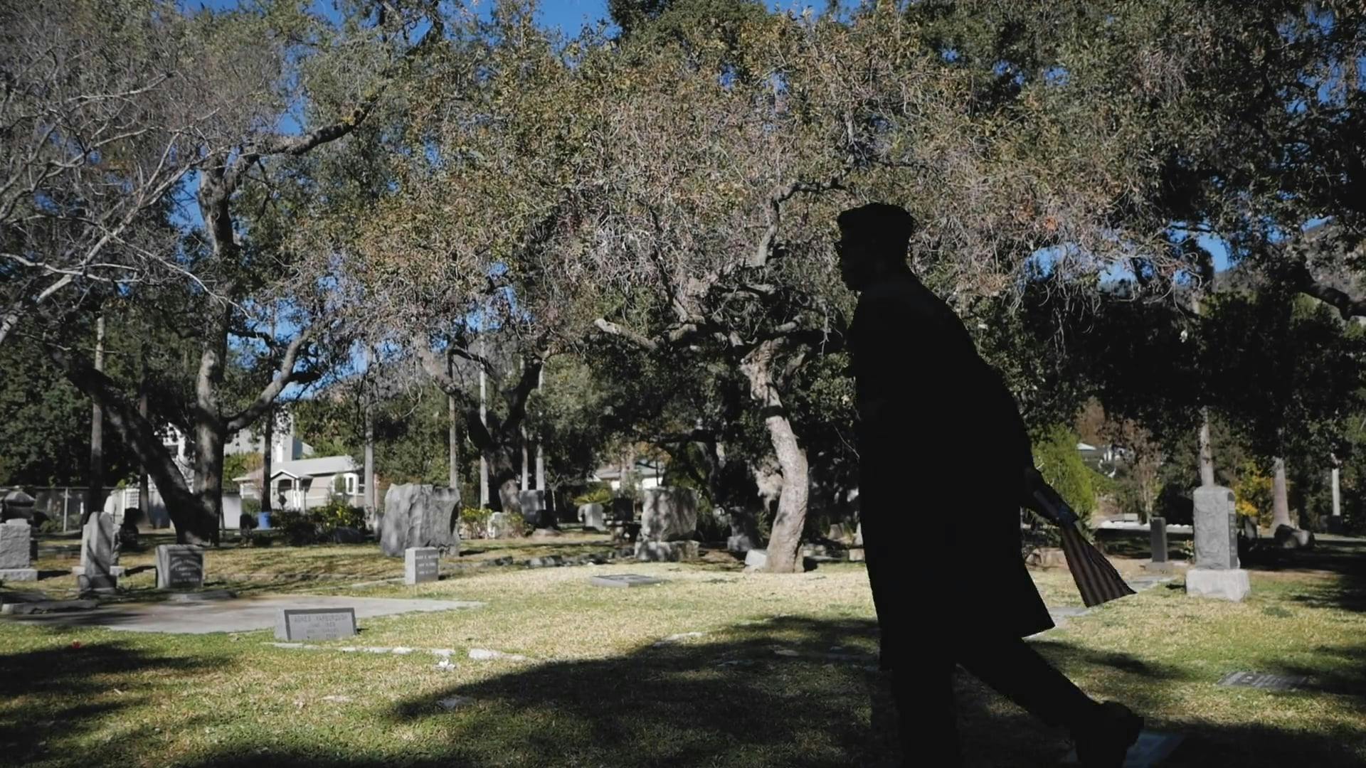 Vídeos de stock gratuitos sobre @al aire libre, al aire libre, arboles ...