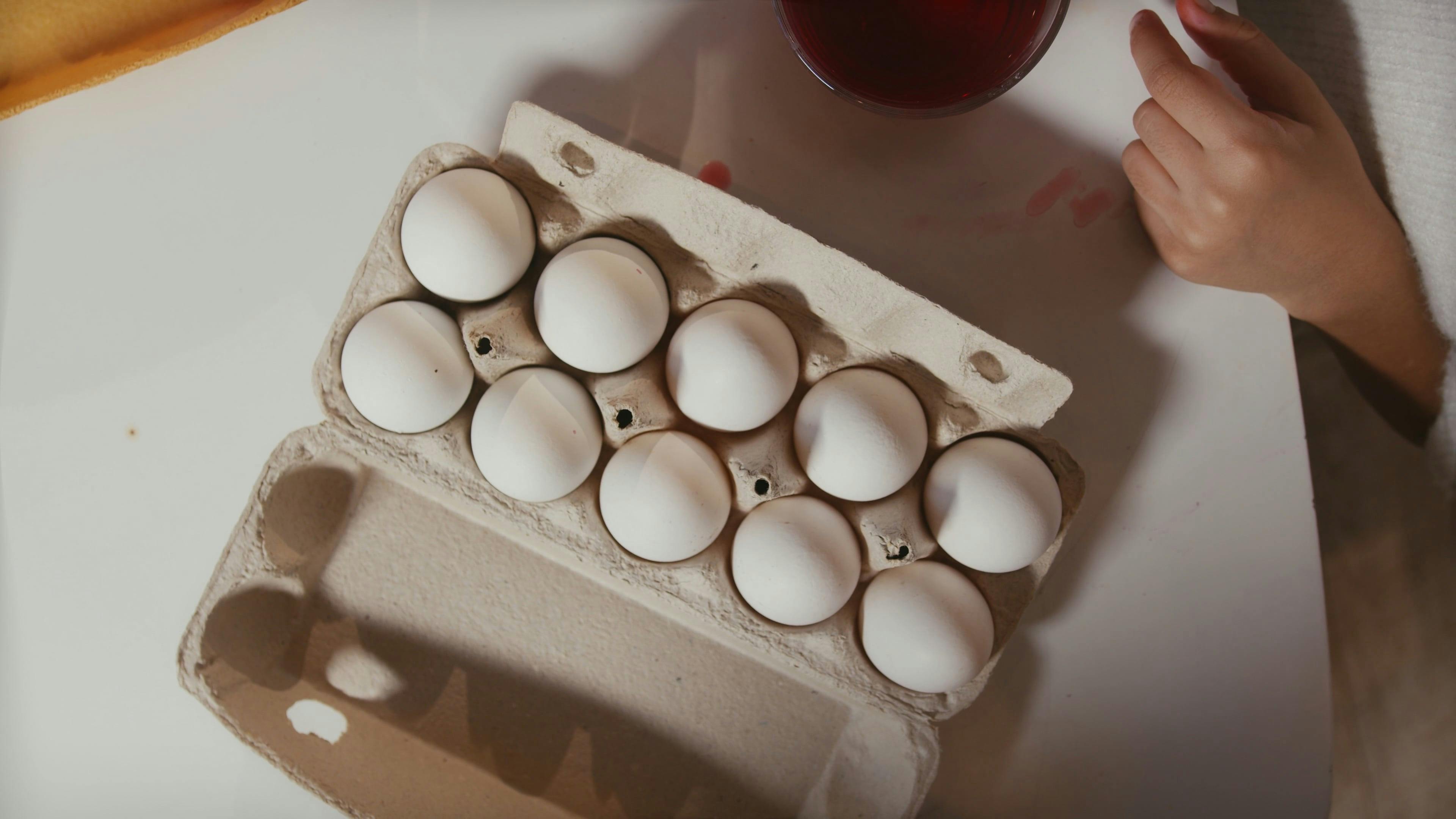 Eco Kit Videos, Download The BEST Free 4k Stock Video Footage & Eco Kit ...