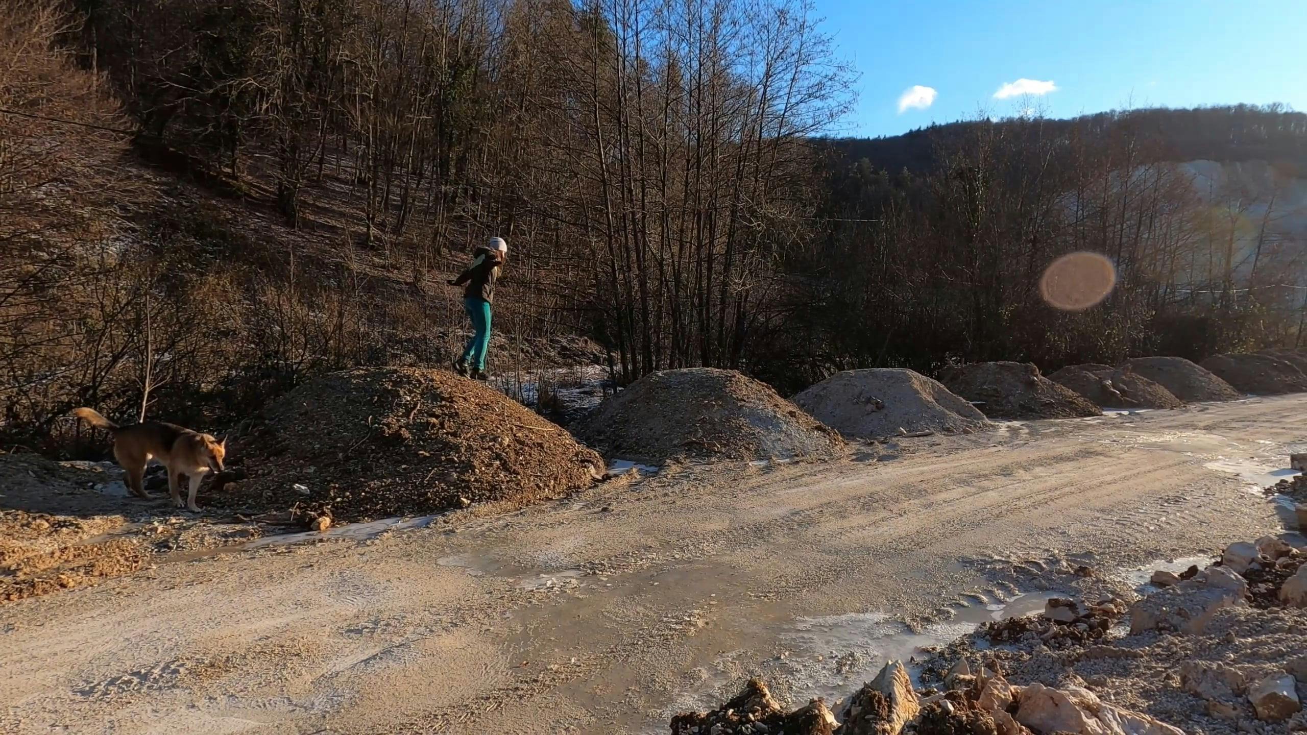 Skip Dog Videos, Download The BEST Free 4k Stock Video Footage & Skip ...