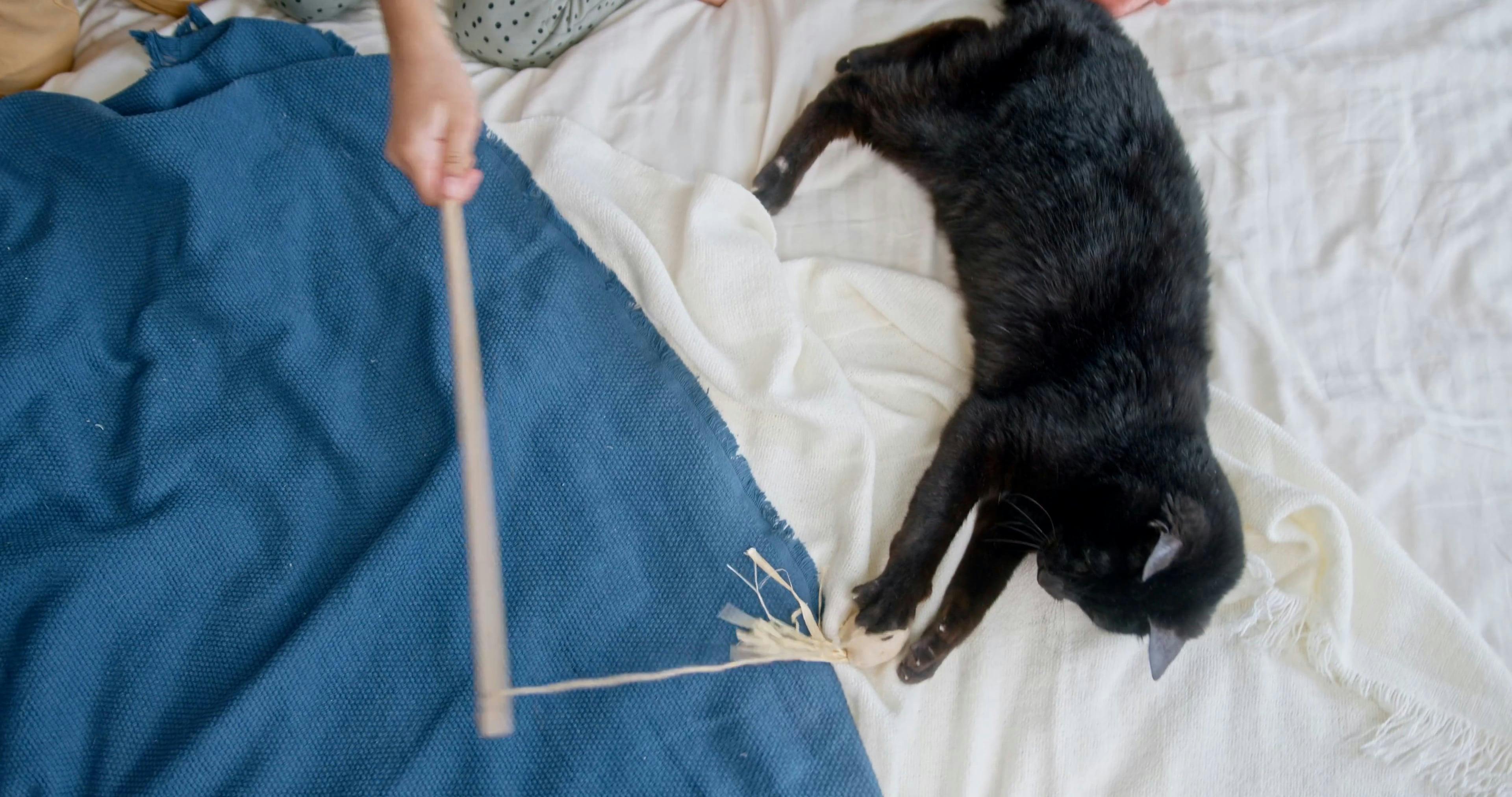 Stick With String Videos, Download The BEST Free 4k Stock Video Footage ...