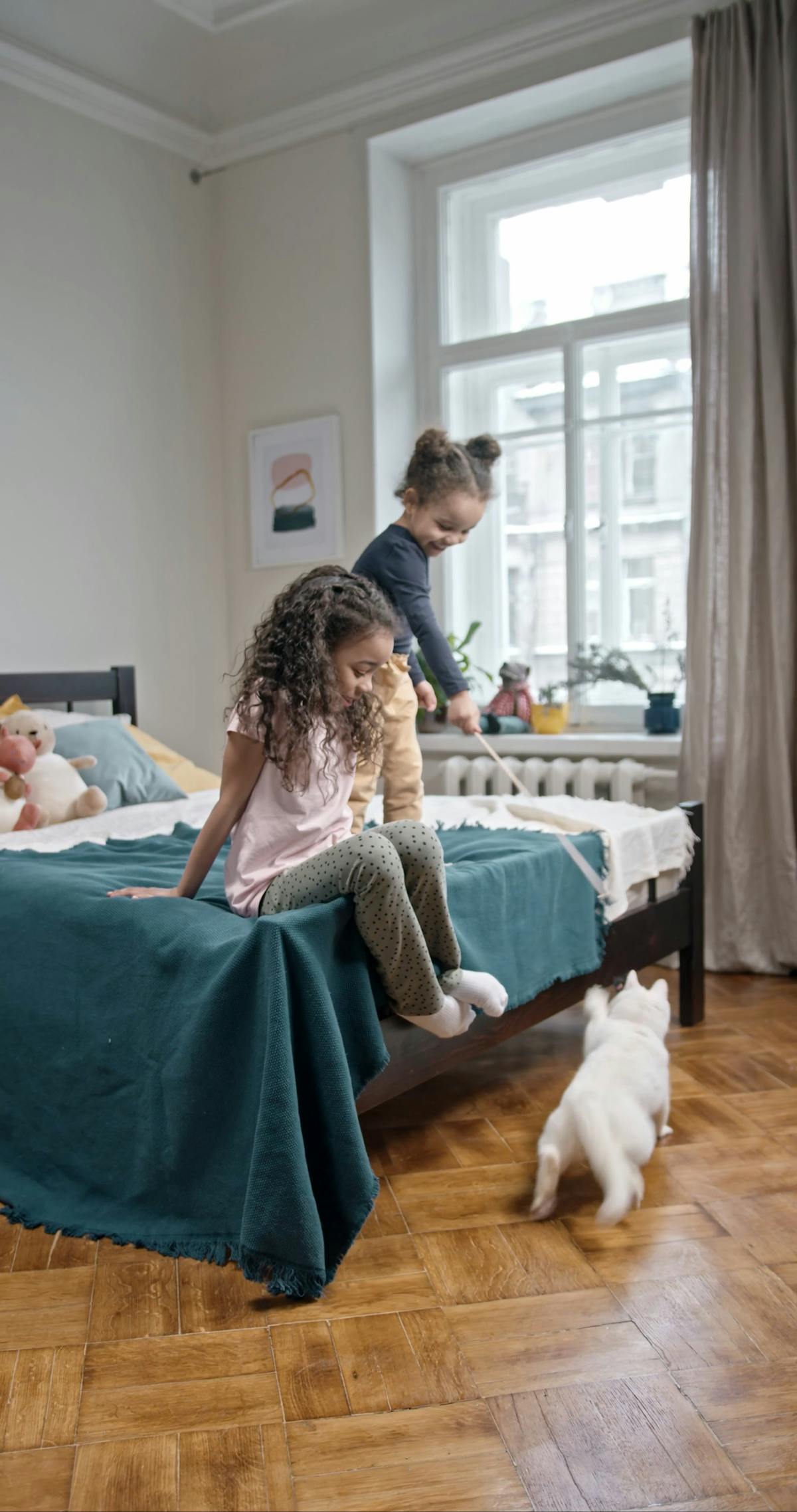 Funny Cat Videos, Download The BEST Free 4k Stock Video Footage & Funny ...