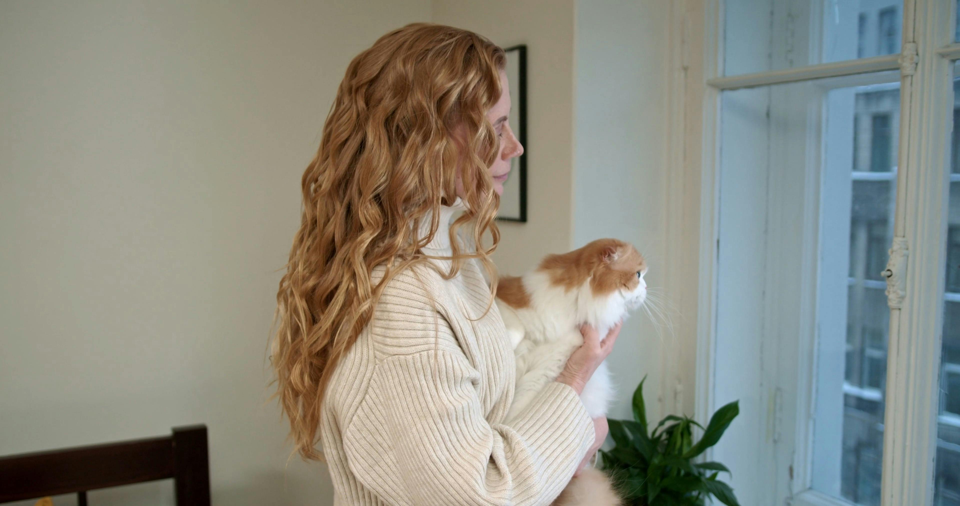 Cat Stand Up Videos, Download The BEST Free 4k Stock Video Footage ...