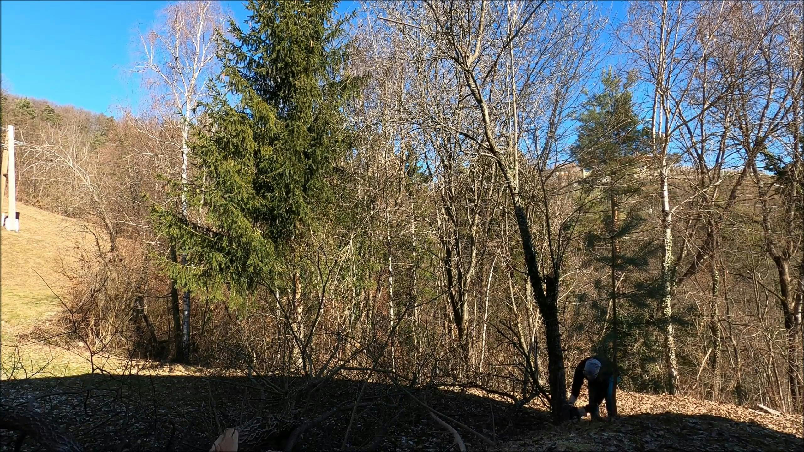 1+ Vidéos De Fale สวิตเซอร์แลนด์กระท่อม Libre de Droit, Clips Vidéo de ...