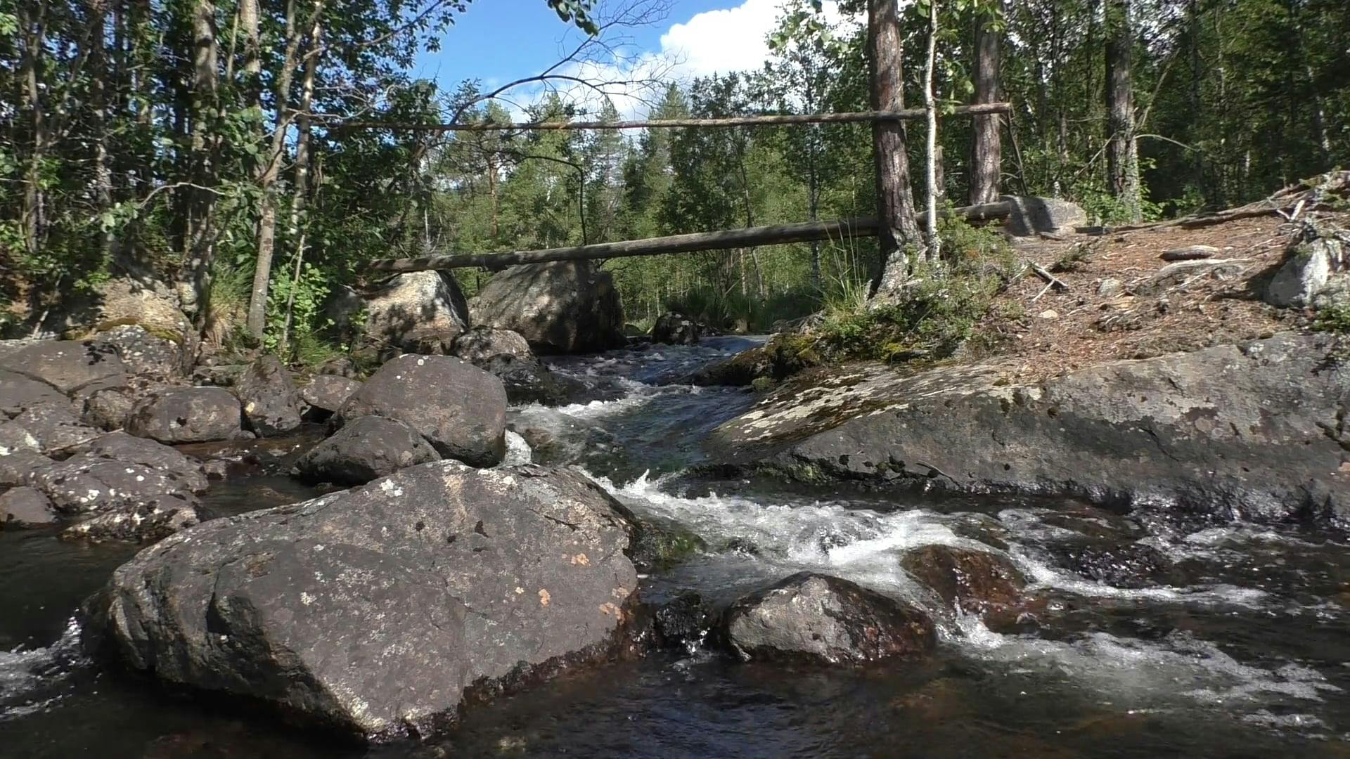 A Brook in a Picturesque Location Free Stock Video Footage, Royalty ...