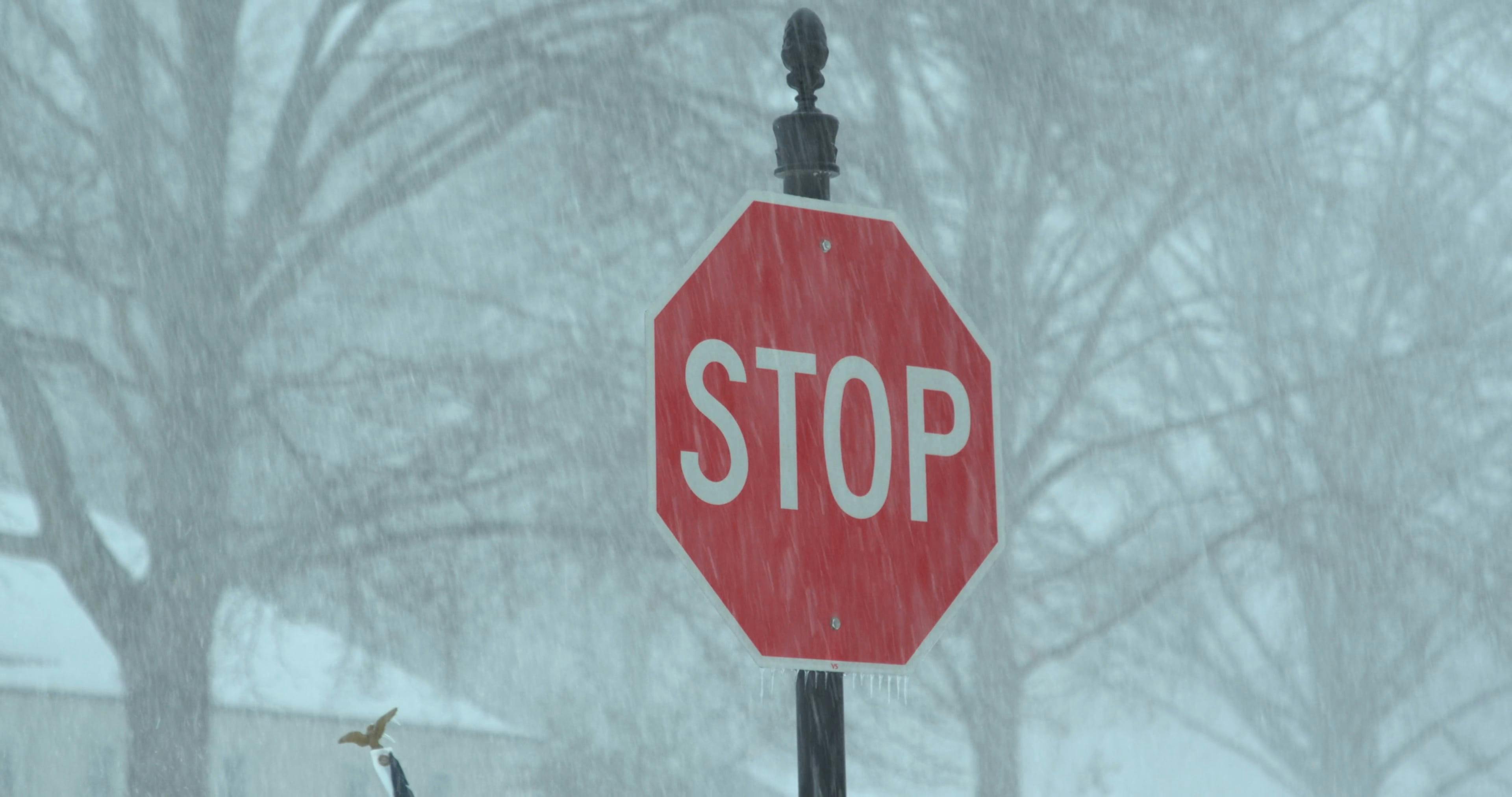 A Close-Up Video of a Stop Sign on a Snowstorm Free Stock Video Footage ...