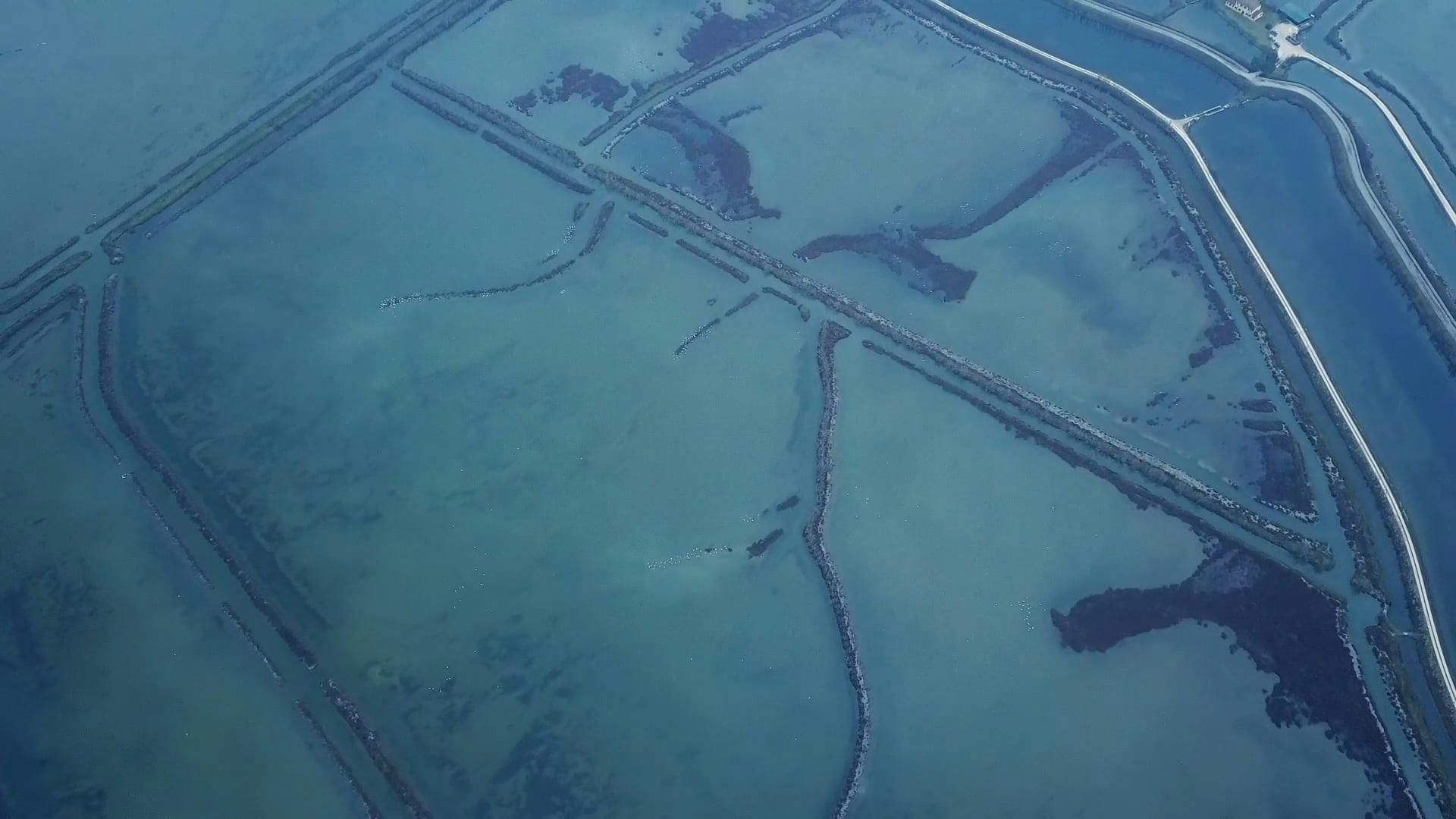 Wetland Patterns Videos, Download The BEST Free 4k Stock Video Footage ...