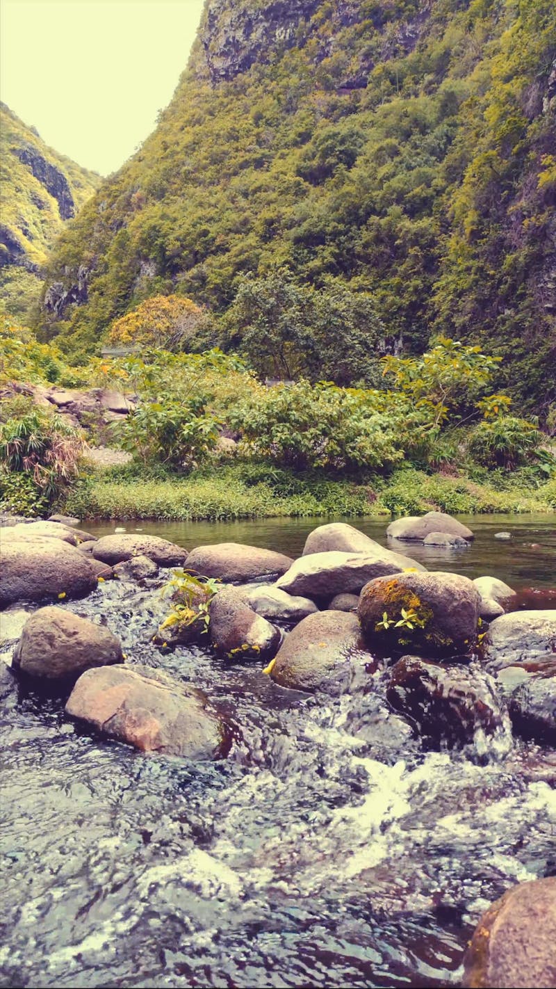 100,000+ Best 4k Video Videos · 100% Free Download · Pexels Stock Videos