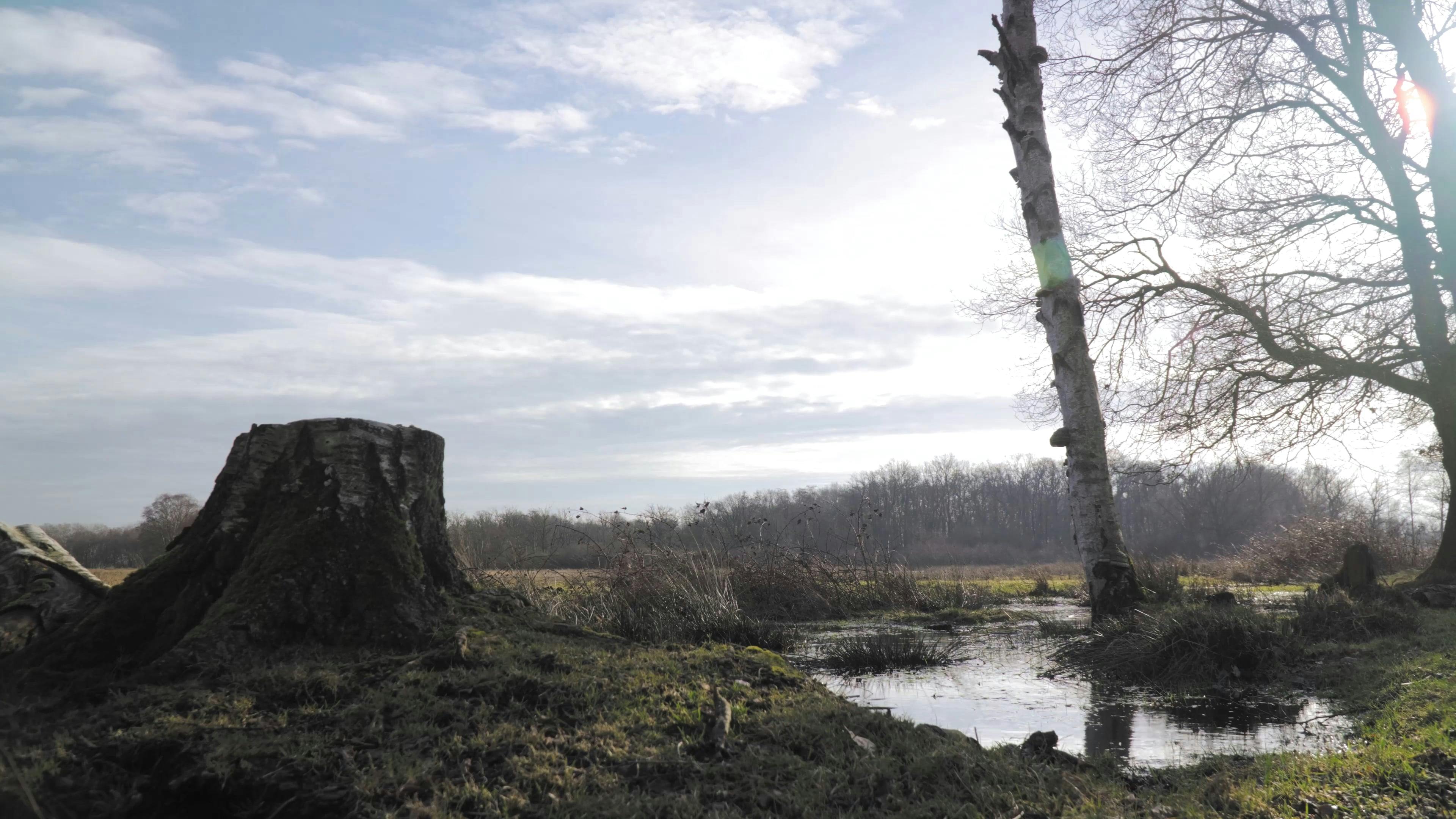 Sky Stump Videos, Download The BEST Free 4k Stock Video Footage & Sky ...