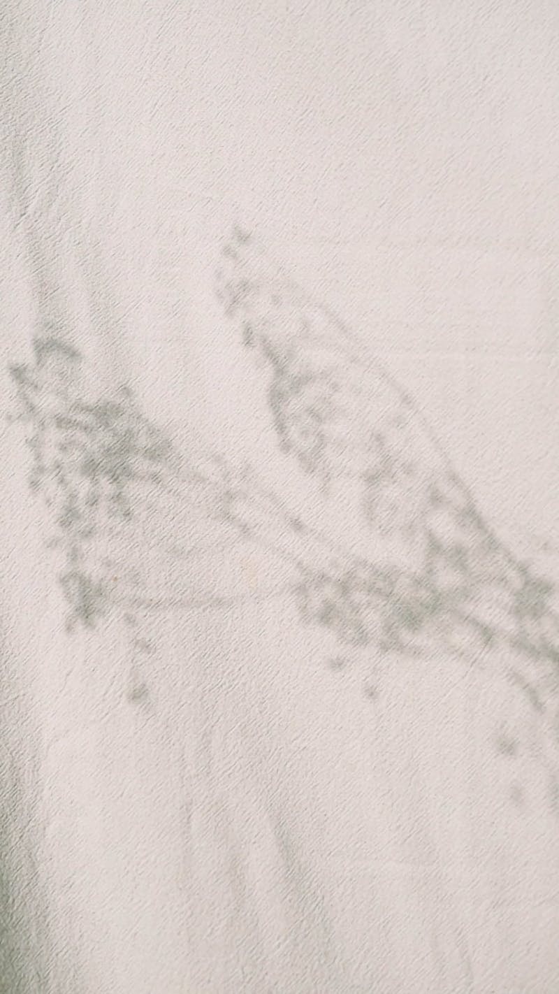 Aesthetic Videos, Download The BEST Free 4k Stock Video Footage ...