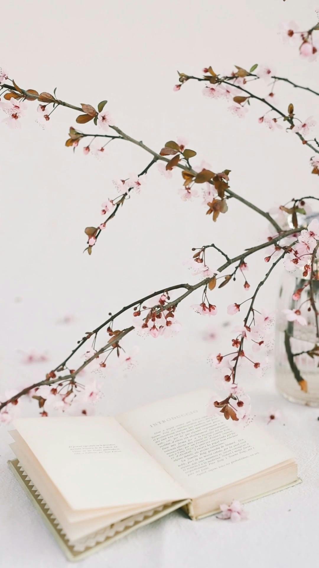 Falling Spring Videos, Download The BEST Free 4k Stock Video Footage ...