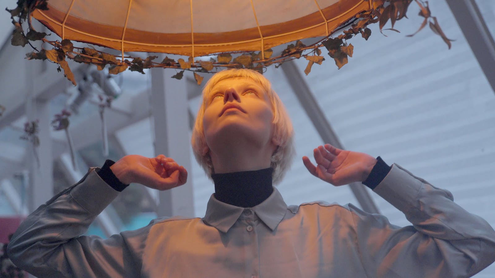 Bleach Videos, Download The BEST Free 4k Stock Video Footage & Bleach ...