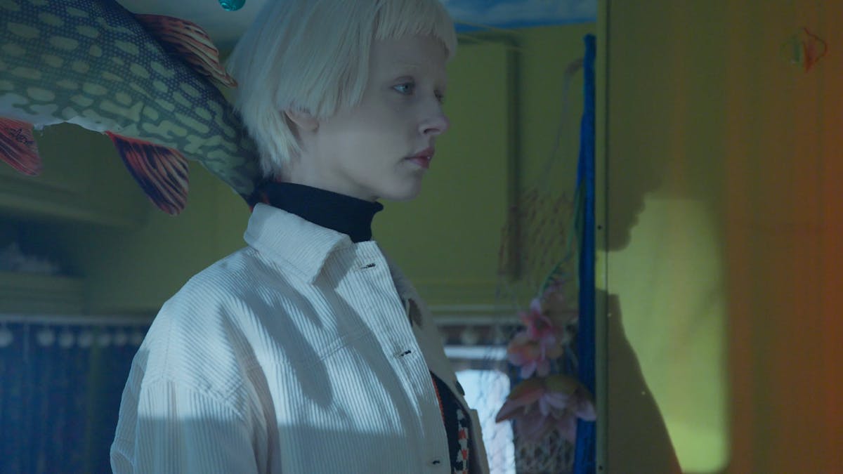 Bleach Videos, Download The BEST Free 4k Stock Video Footage & Bleach ...