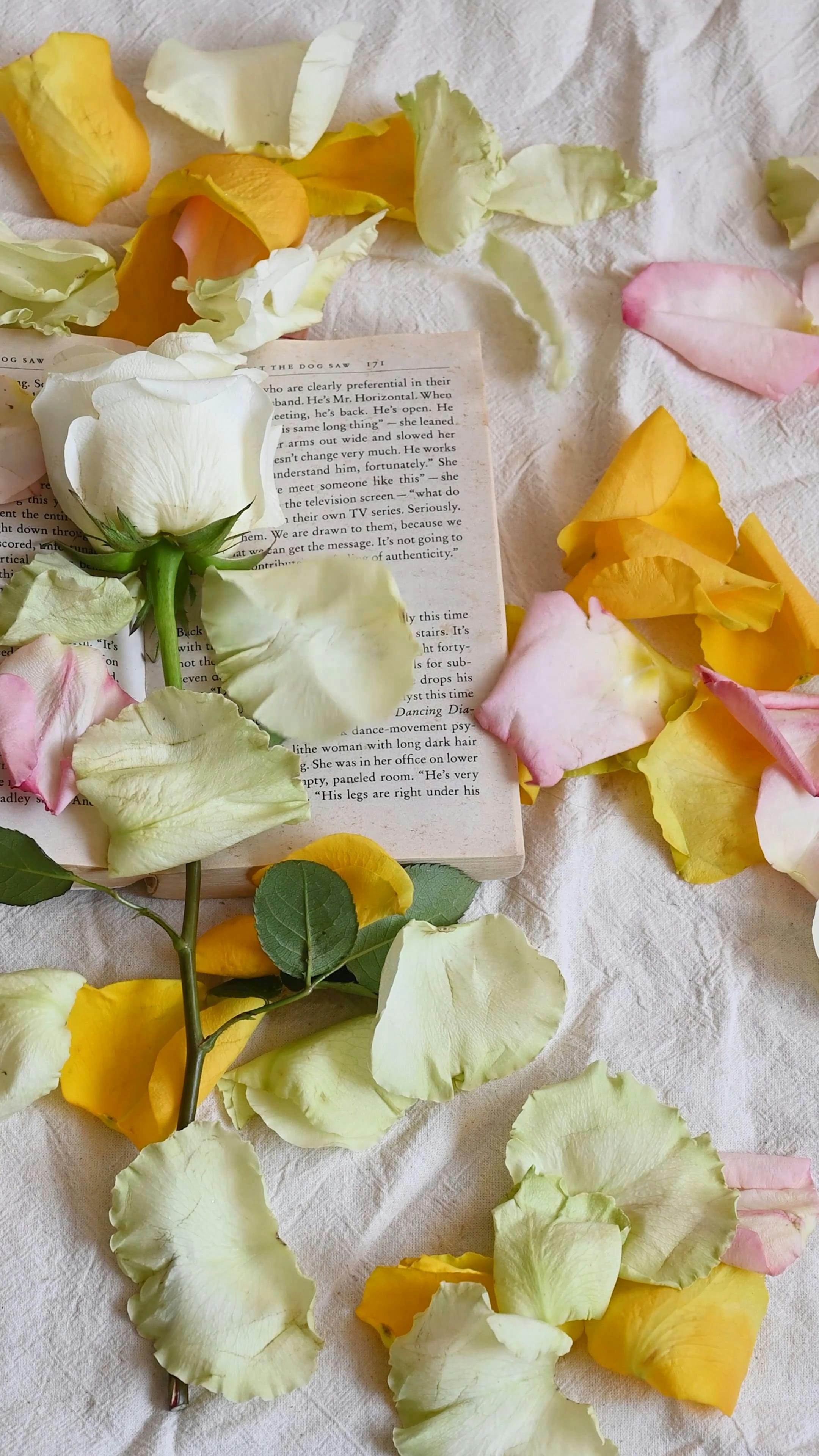 Text Background Videos, Download The BEST Free 4k Stock Video Footage ...