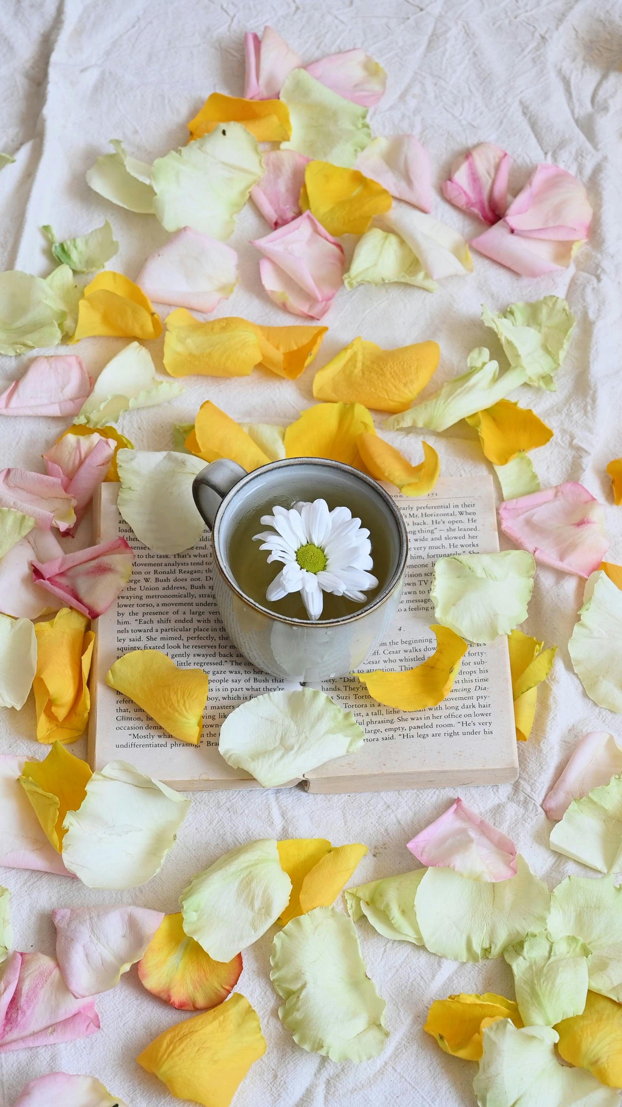 Flower in a Tea · Free Stock Video