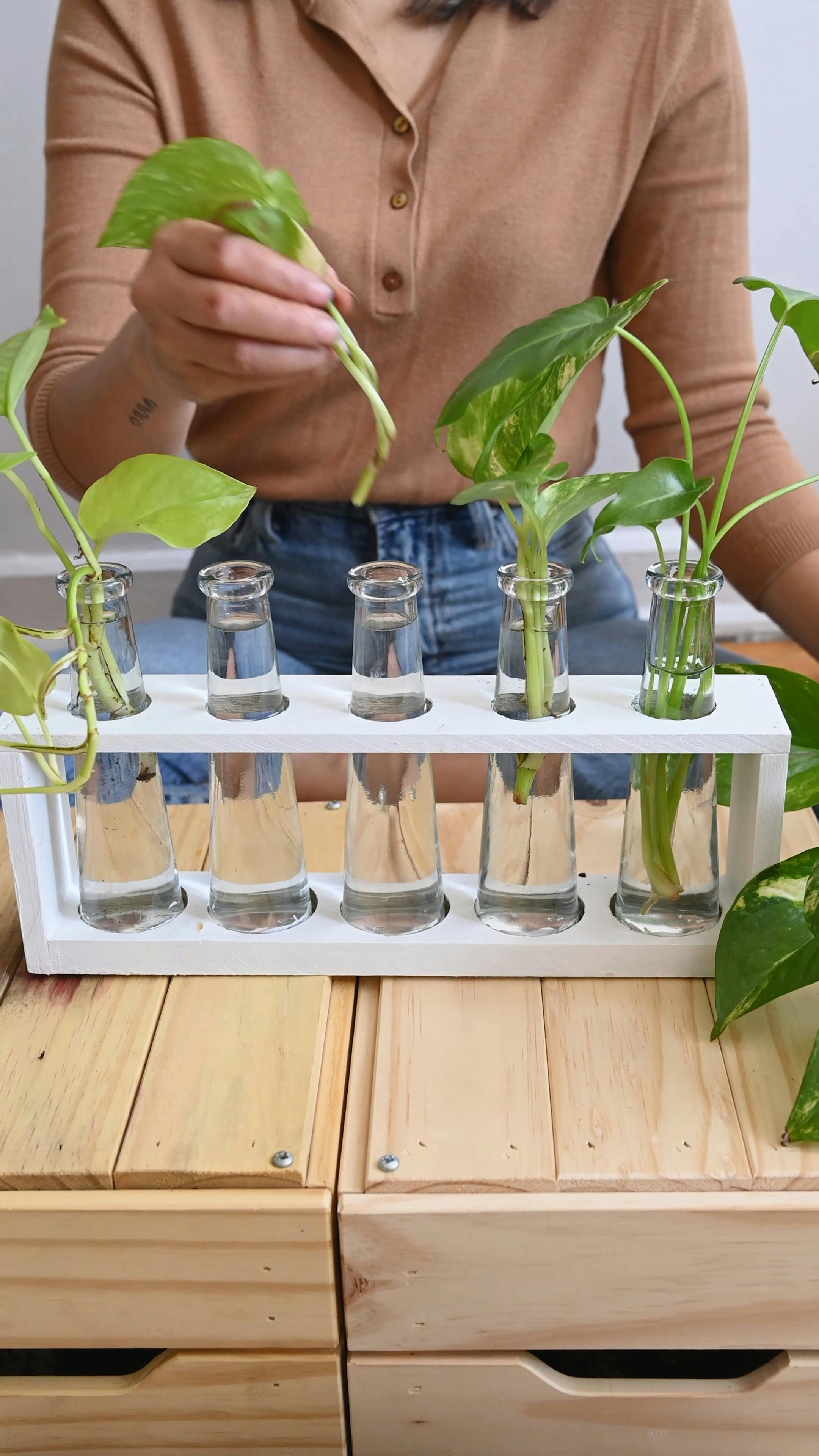 Natural Aesthetics Videos, Download The BEST Free 4k Stock Video ...