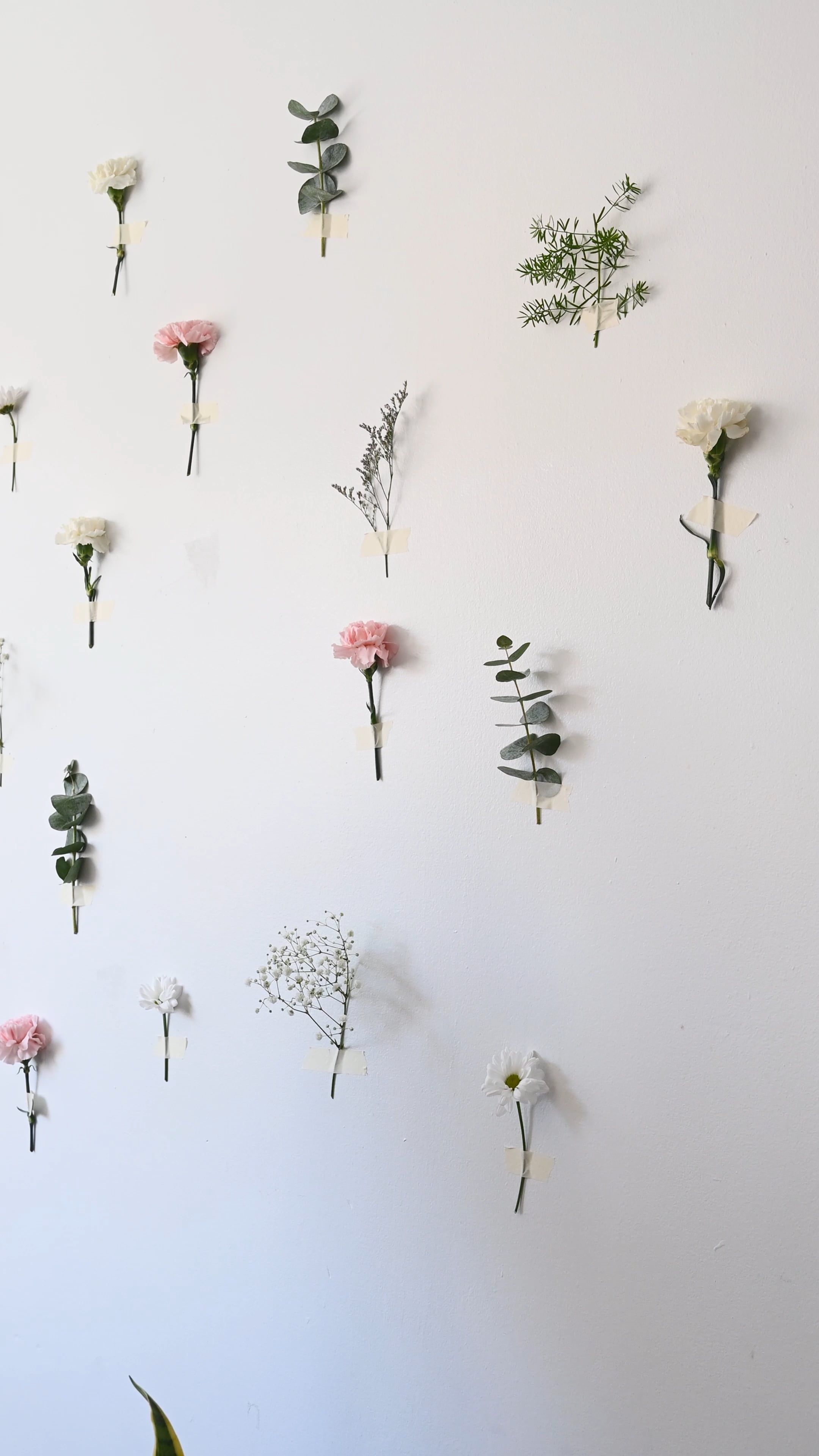 Wedding Wall Backdrop Decoration Videos, Download The BEST Free 4k ...