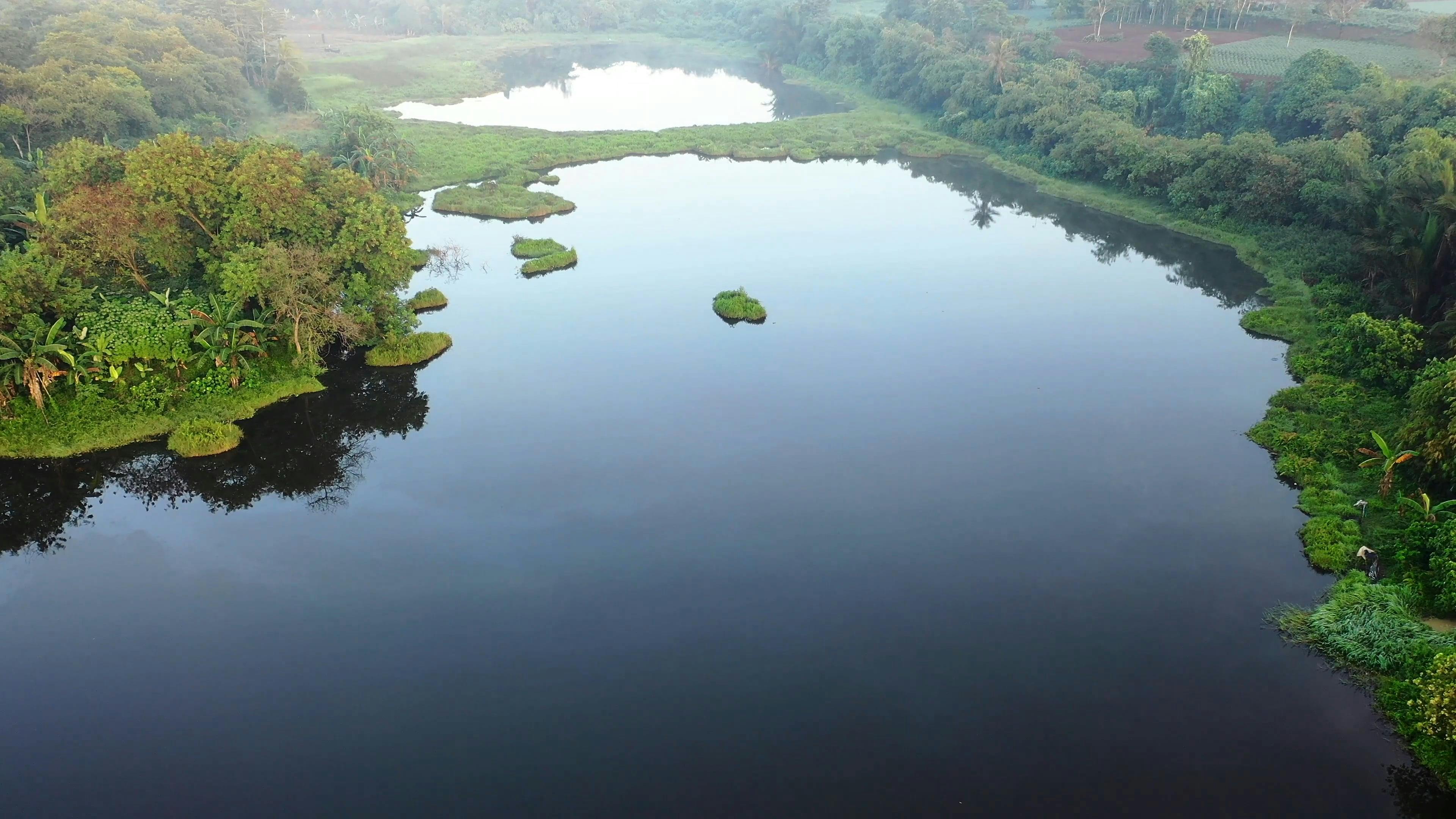 An Aerial Footage of a Swamp and an Agricultural Land Free Stock Video ...