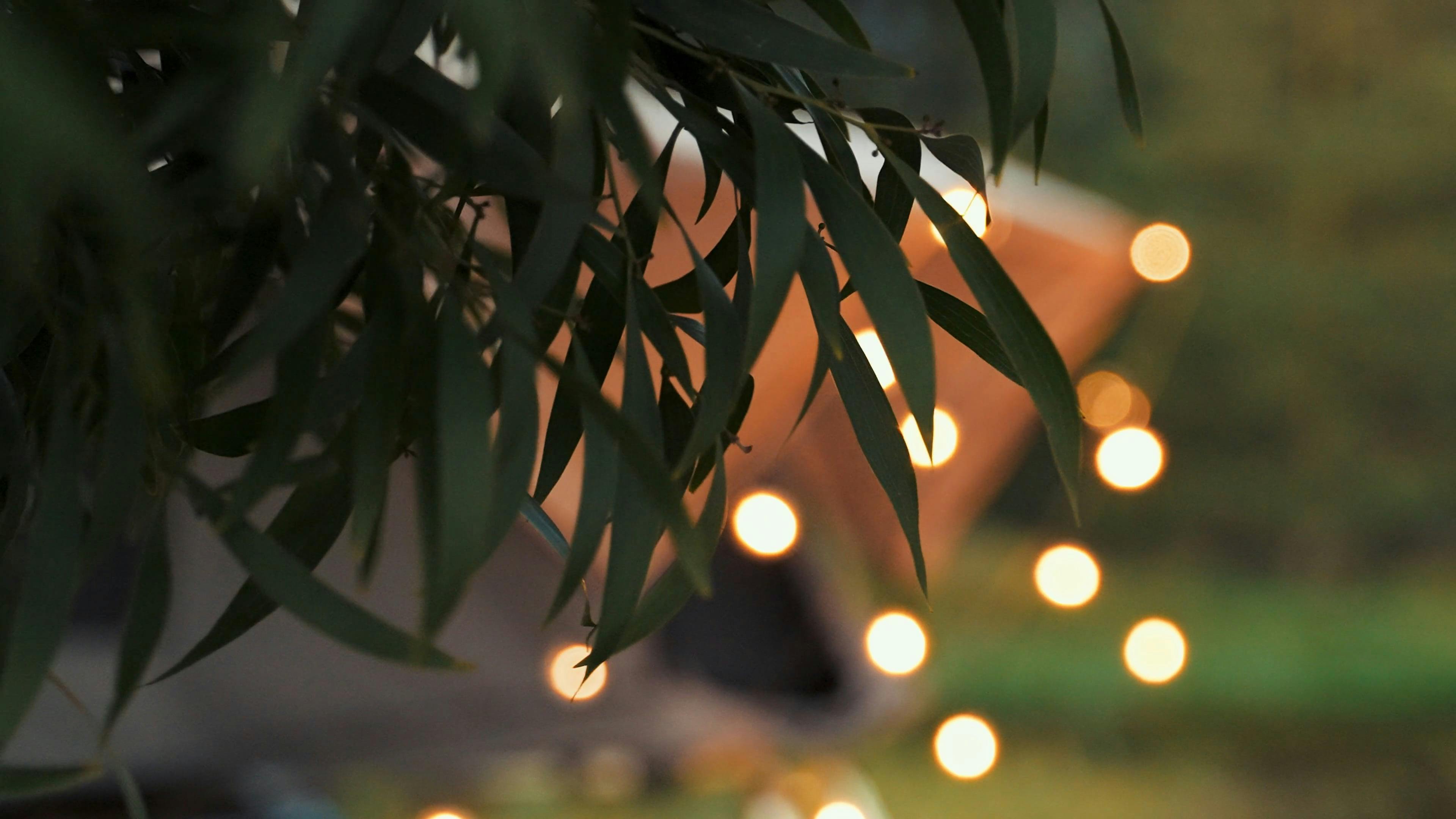 Light Bulb Going On and Off Free Stock Video Footage, Royalty-Free 4K ...