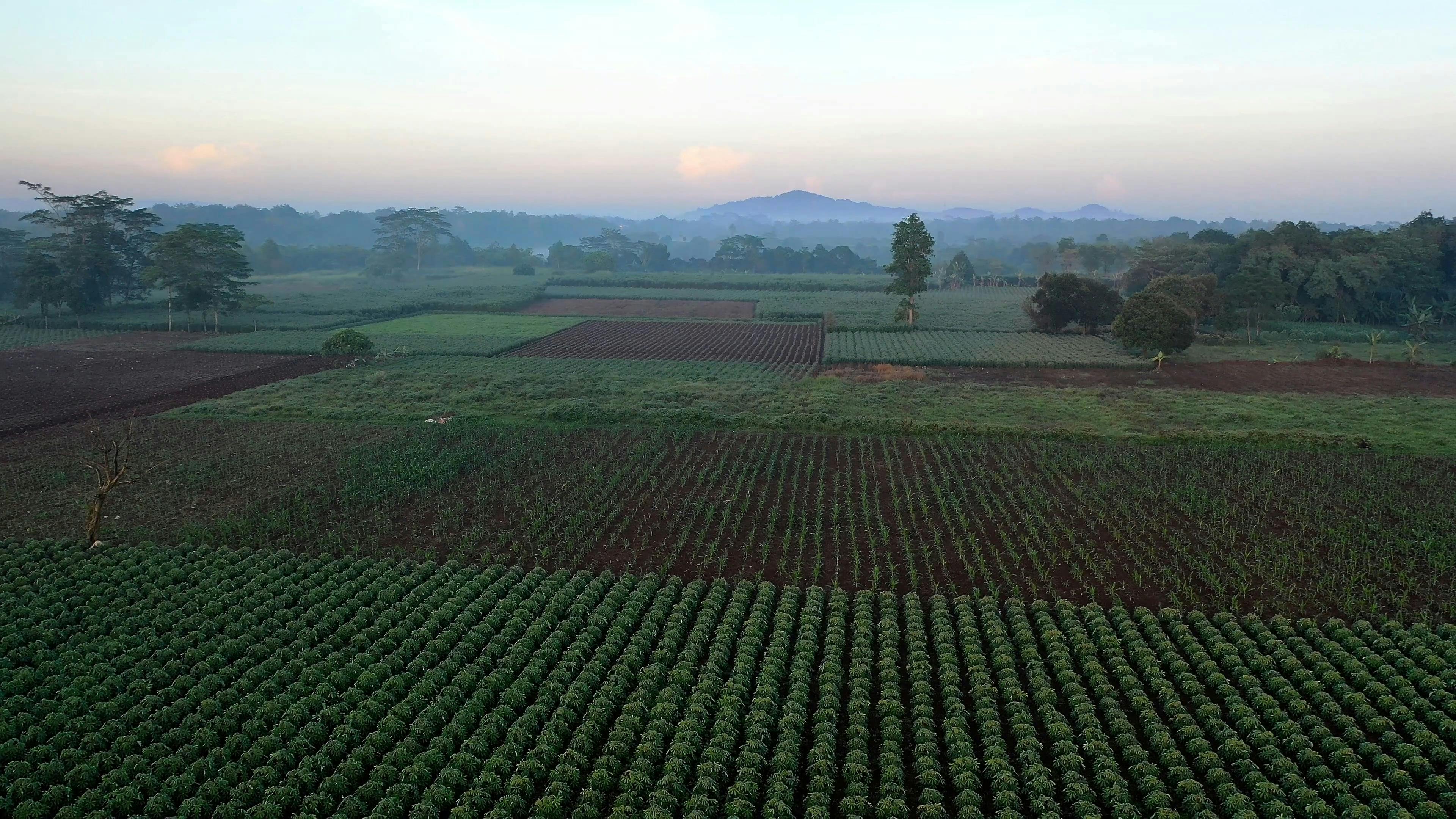 Aerial Footage of a Farm Land Free Stock Video Footage, Royalty-Free 4K ...